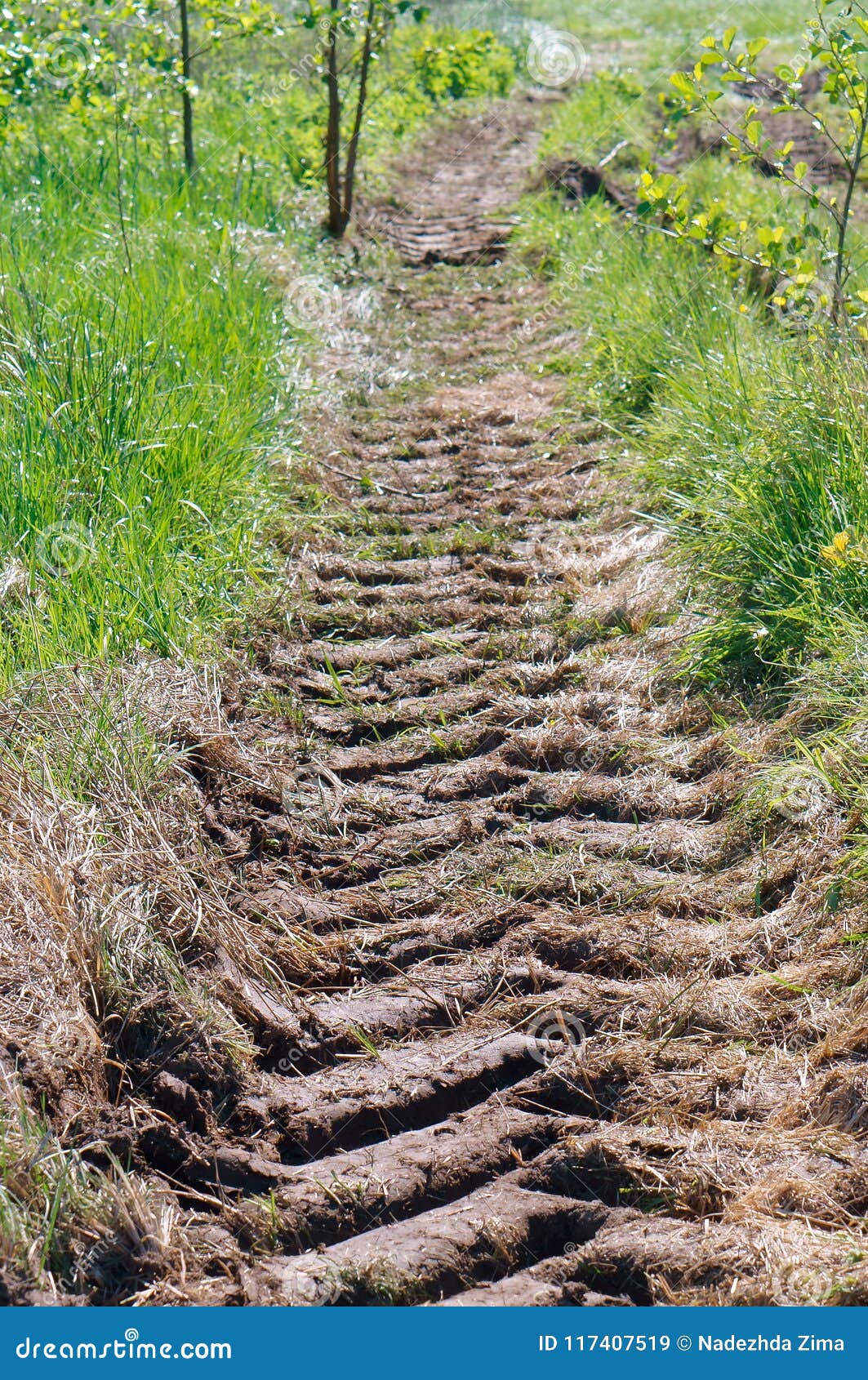 The Trace Of The Tractor On The Ground, A Tractor Track, Even The Tread ...