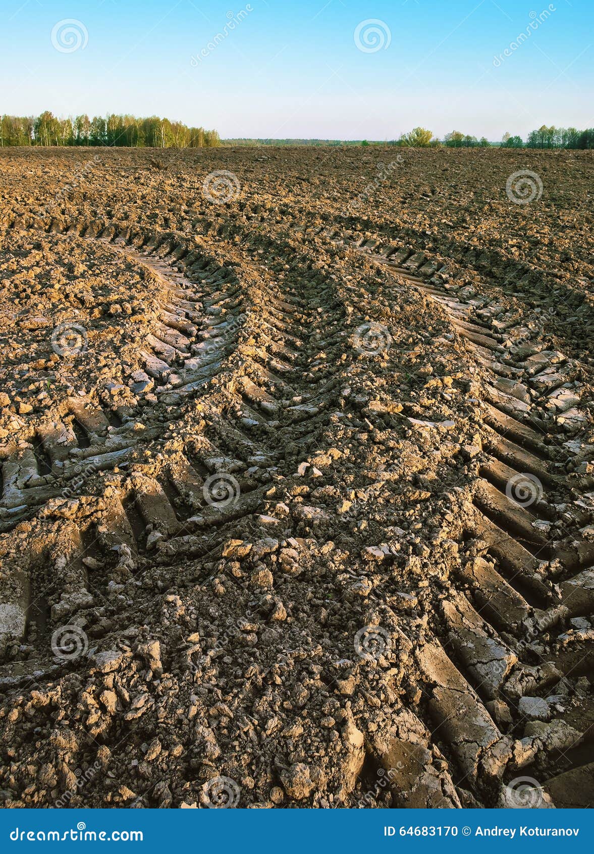 Trace of a tractor stock photo. Image of brown, farm - 64683170