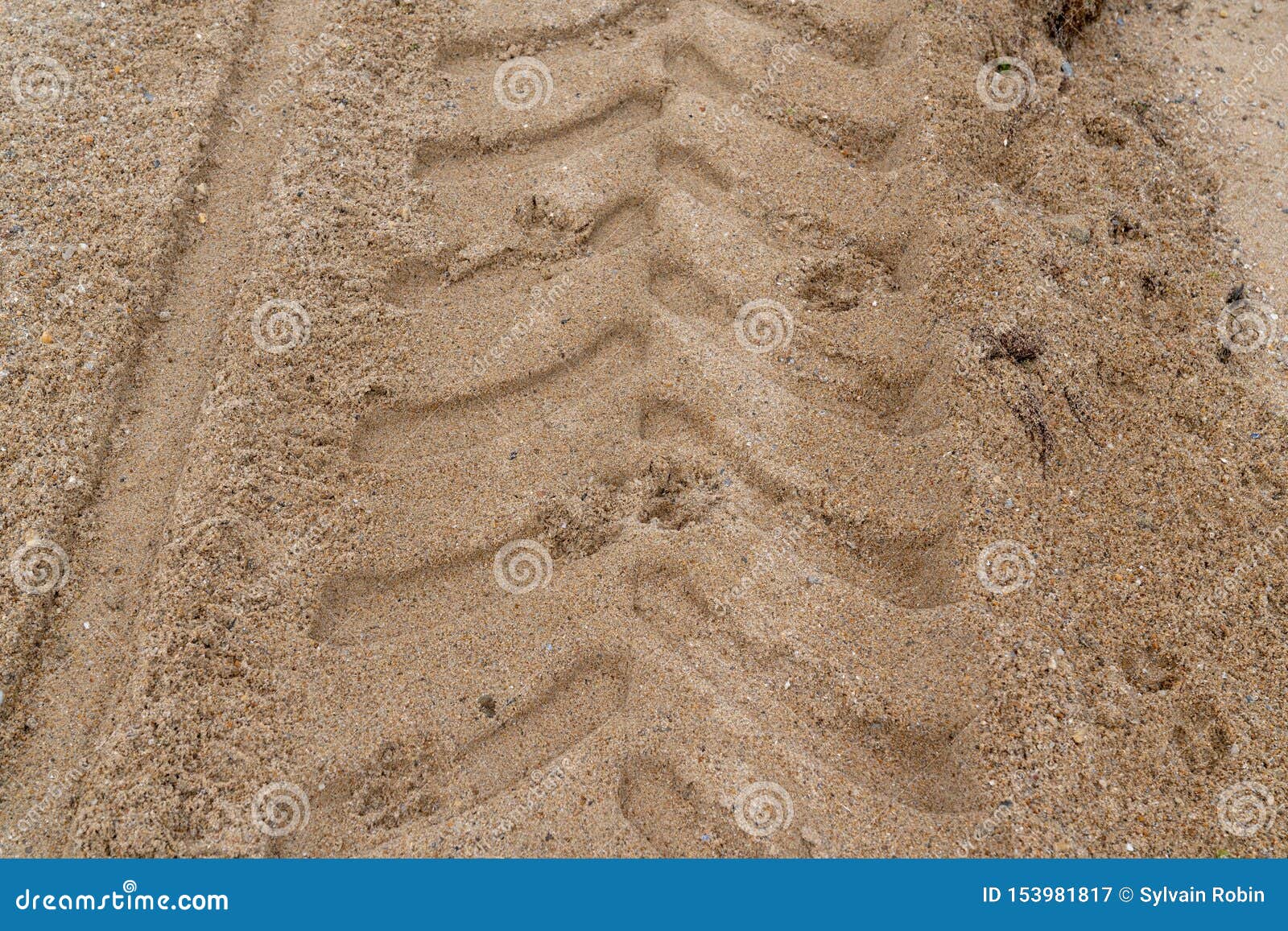 The Trace Of The Tractor On The Ground, A Tractor Track, Even The Tread ...