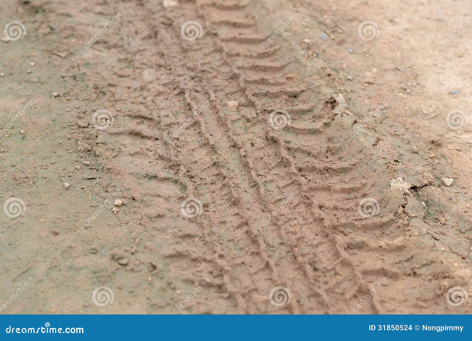 Trace of a tyre stock photo. Image of detail, skid, lane - 31850524