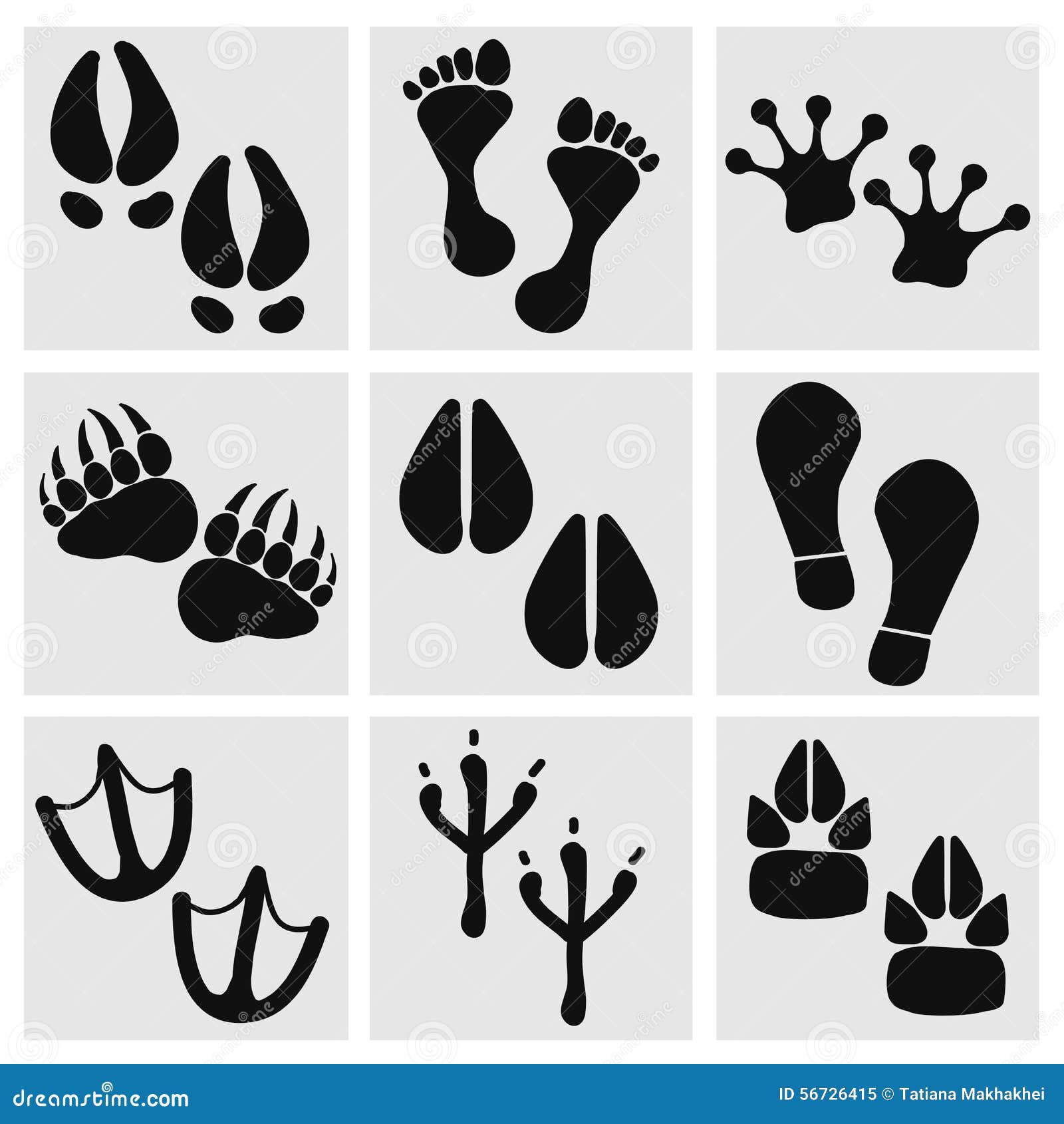Traces of Animals, Birds, People Stock Vector - Illustration of step ...