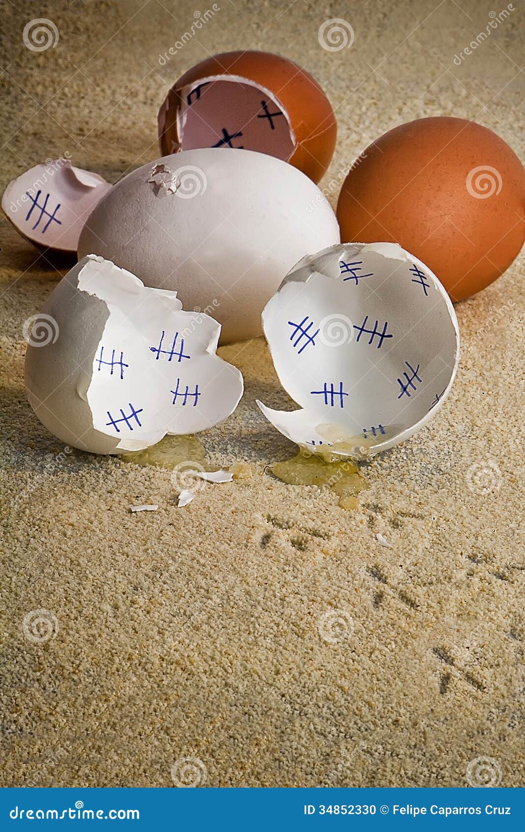 Traces of Bird, a Chick Has Just Come Out of Its Shell Stock Photo ...