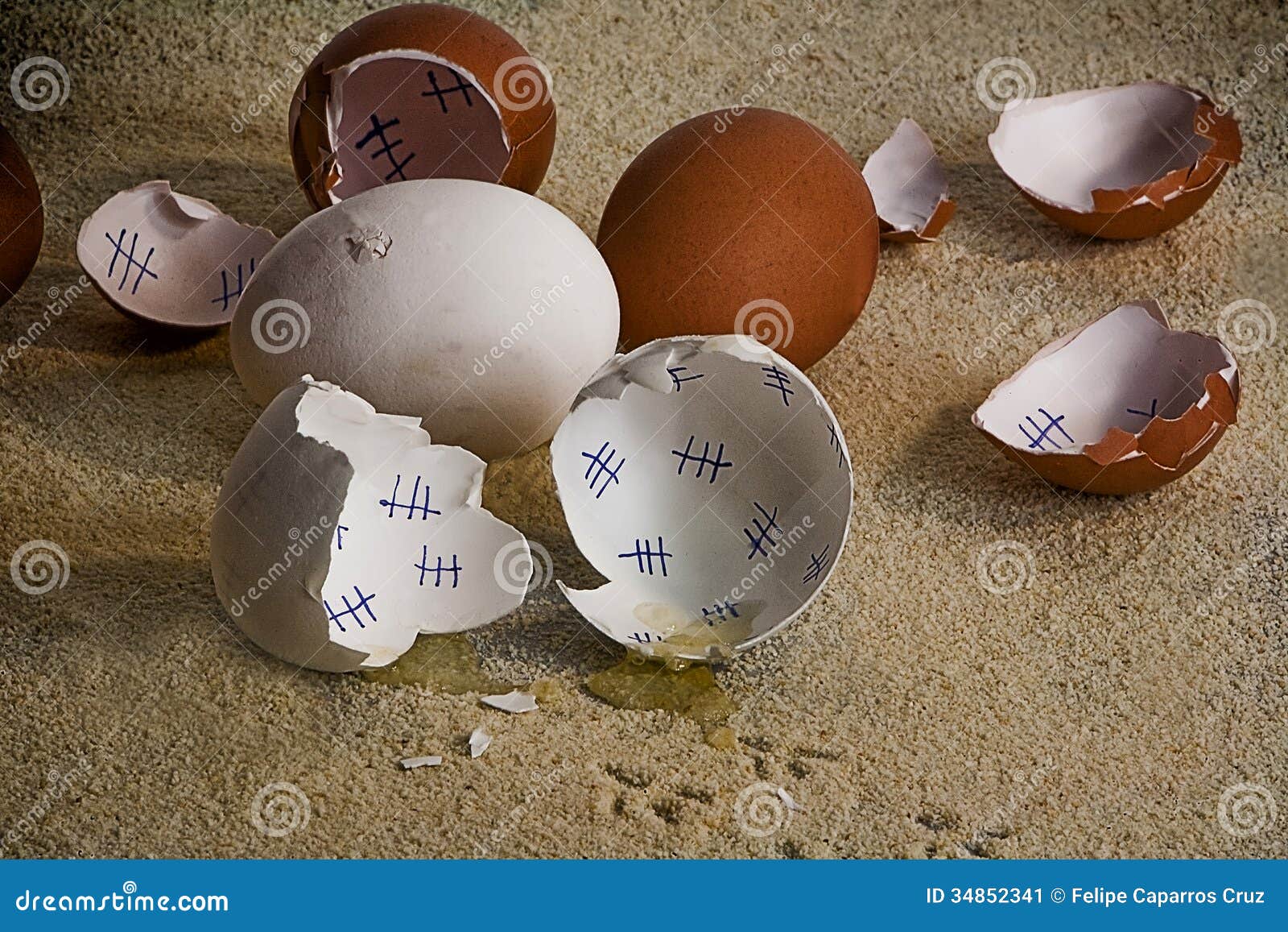 Traces of Bird, a Chick Has Just Come Out of Its Shell Stock Image ...