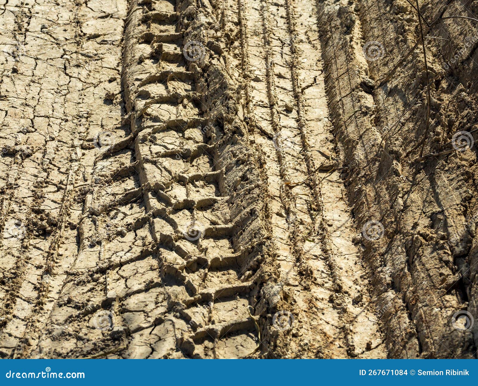 Traces of Car Wheels on a Dirt Road Stock Photo - Image of bark, detail ...