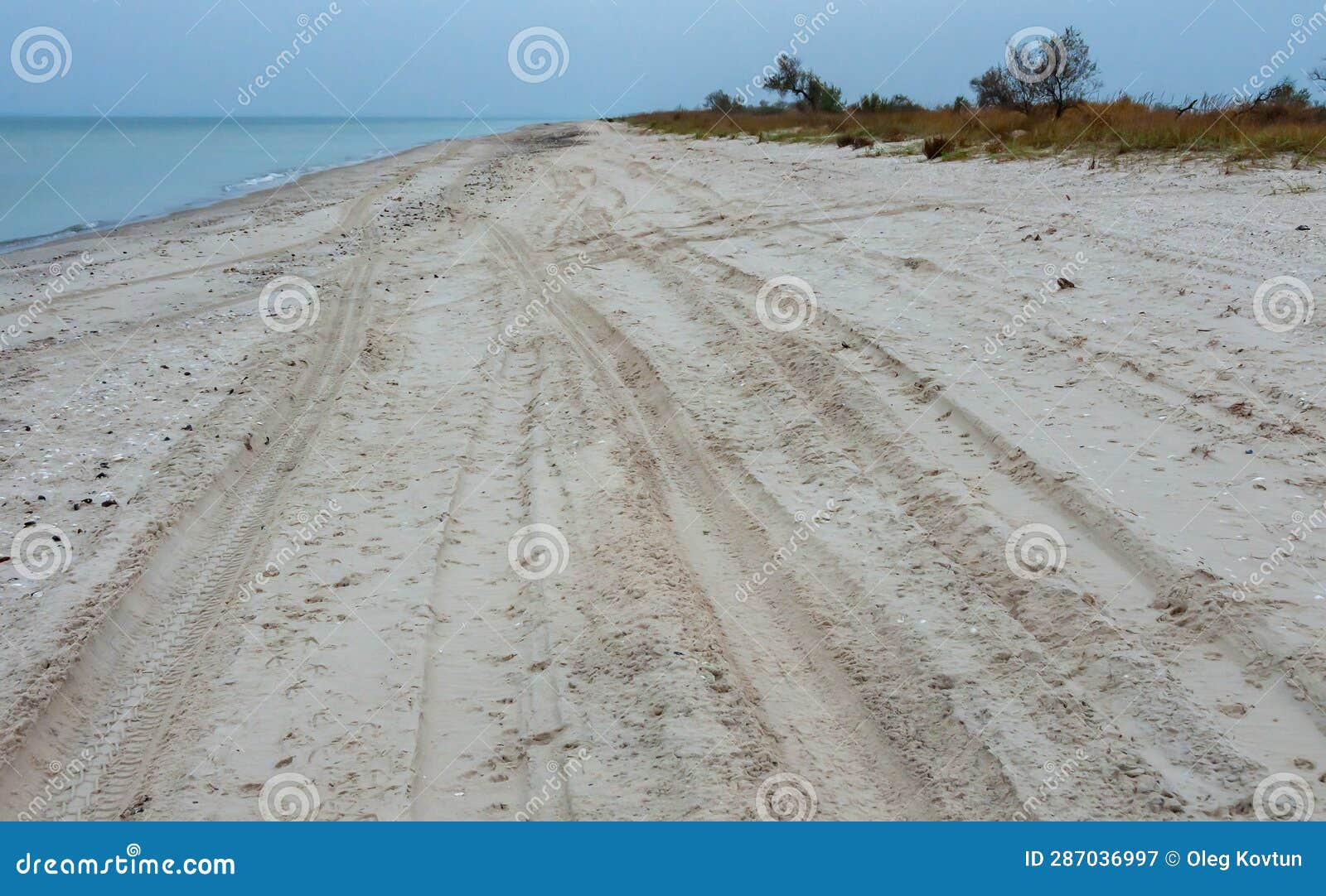Traces of Car Wheels on the Sandy Kinburn Spit, Ukraine Stock Image ...
