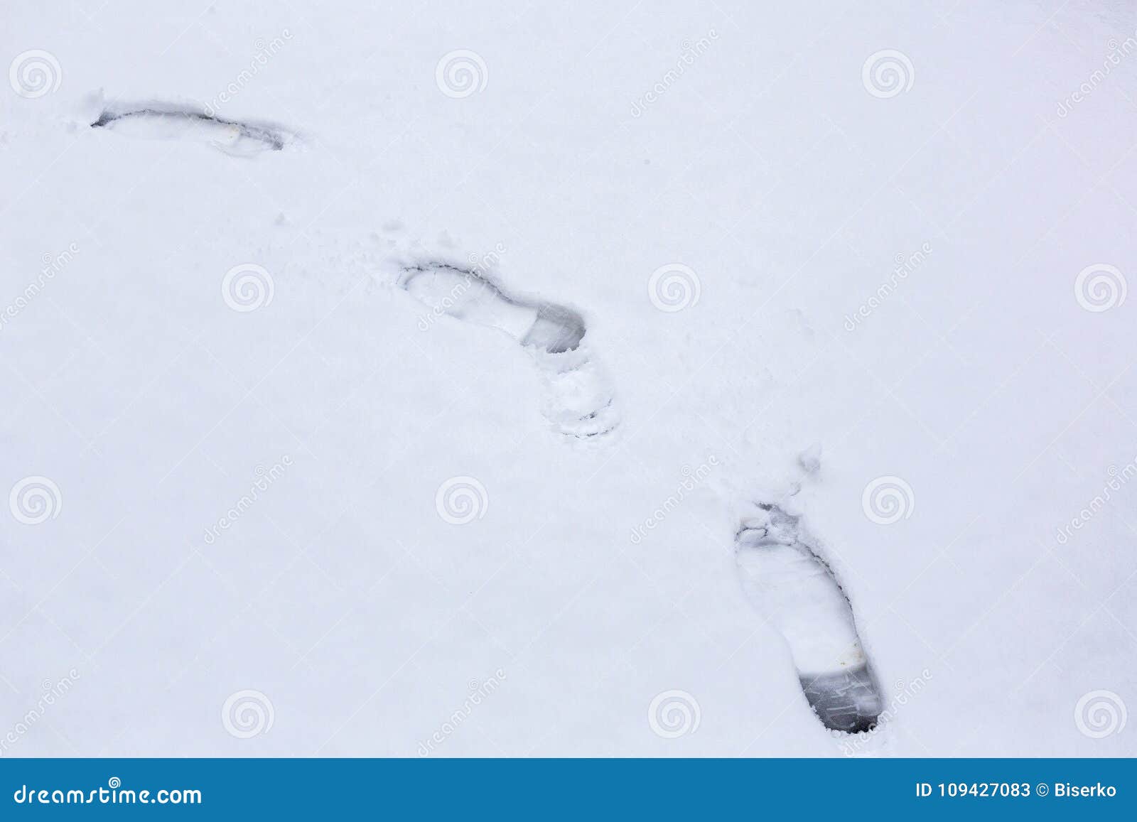 Footsteps in the snow stock image. Image of trail, pathway - 109427083