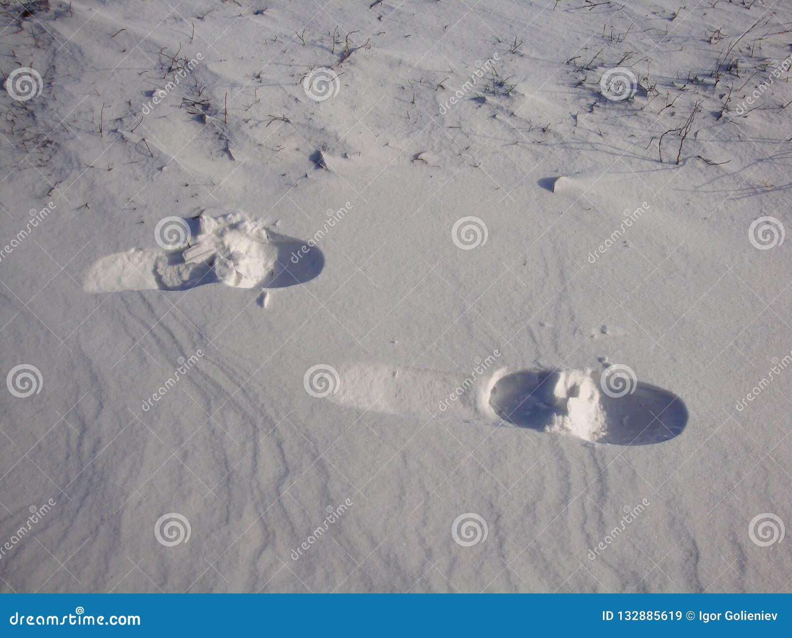 Traces of Human Legs on a Beautiful White Snow Texture, Formed by ...