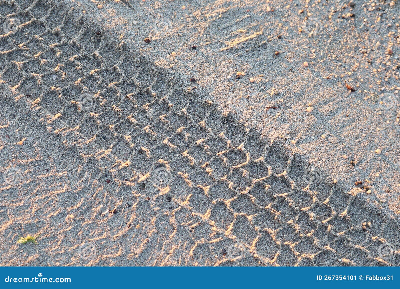 Traces and Imprints of a Car Tire on the Sand Stock Image - Image of ...