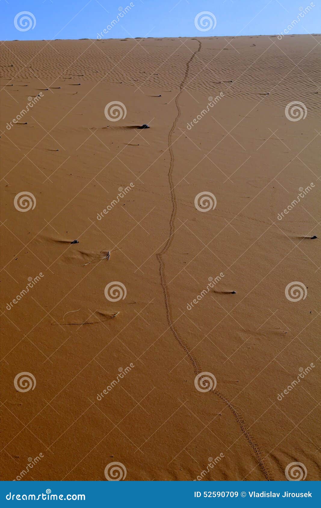Traces of Insects in the Fine Saharan Sand, Morocco Stock Image - Image ...