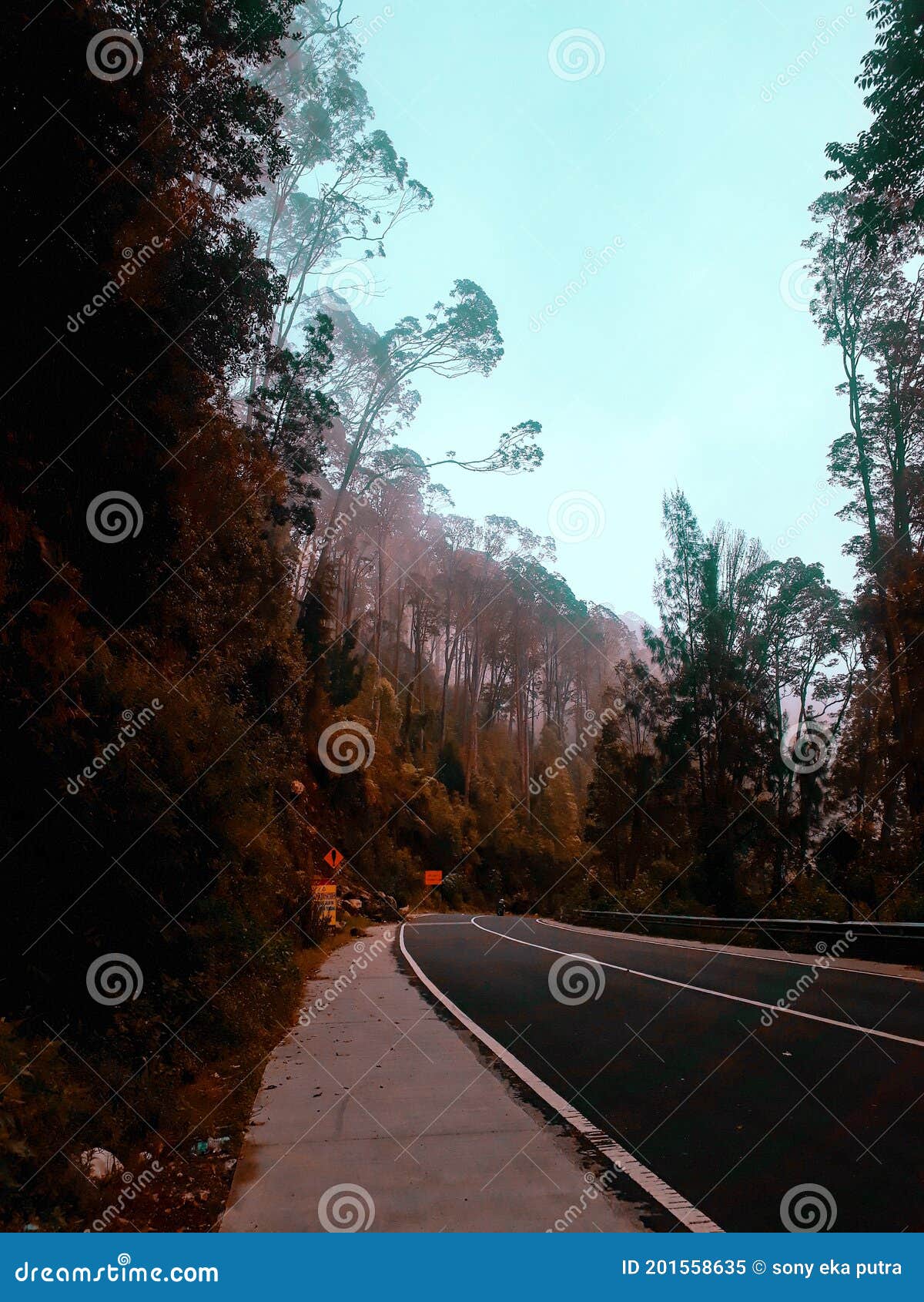 Traces of life stock image. Image of leaf, dawn, plant - 201558635