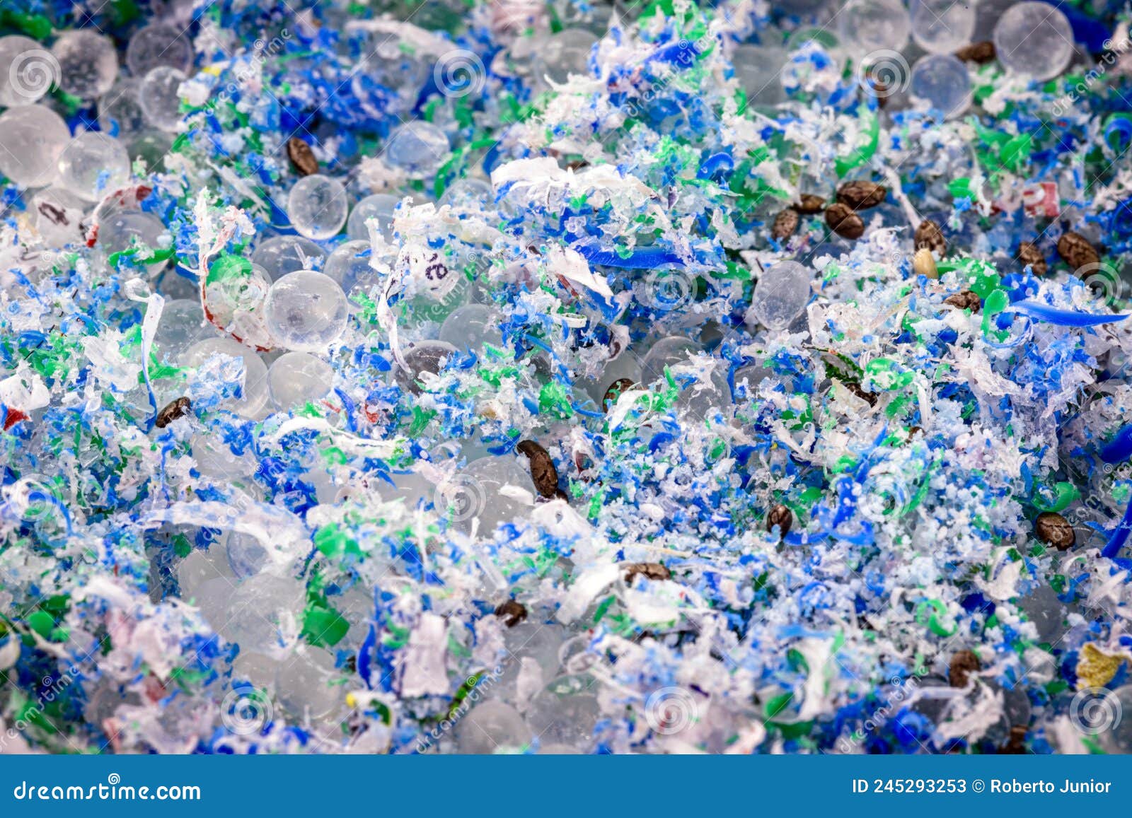 Traces Of Plastic And Microplastic In Petri Dishes, The Main Pollutant ...