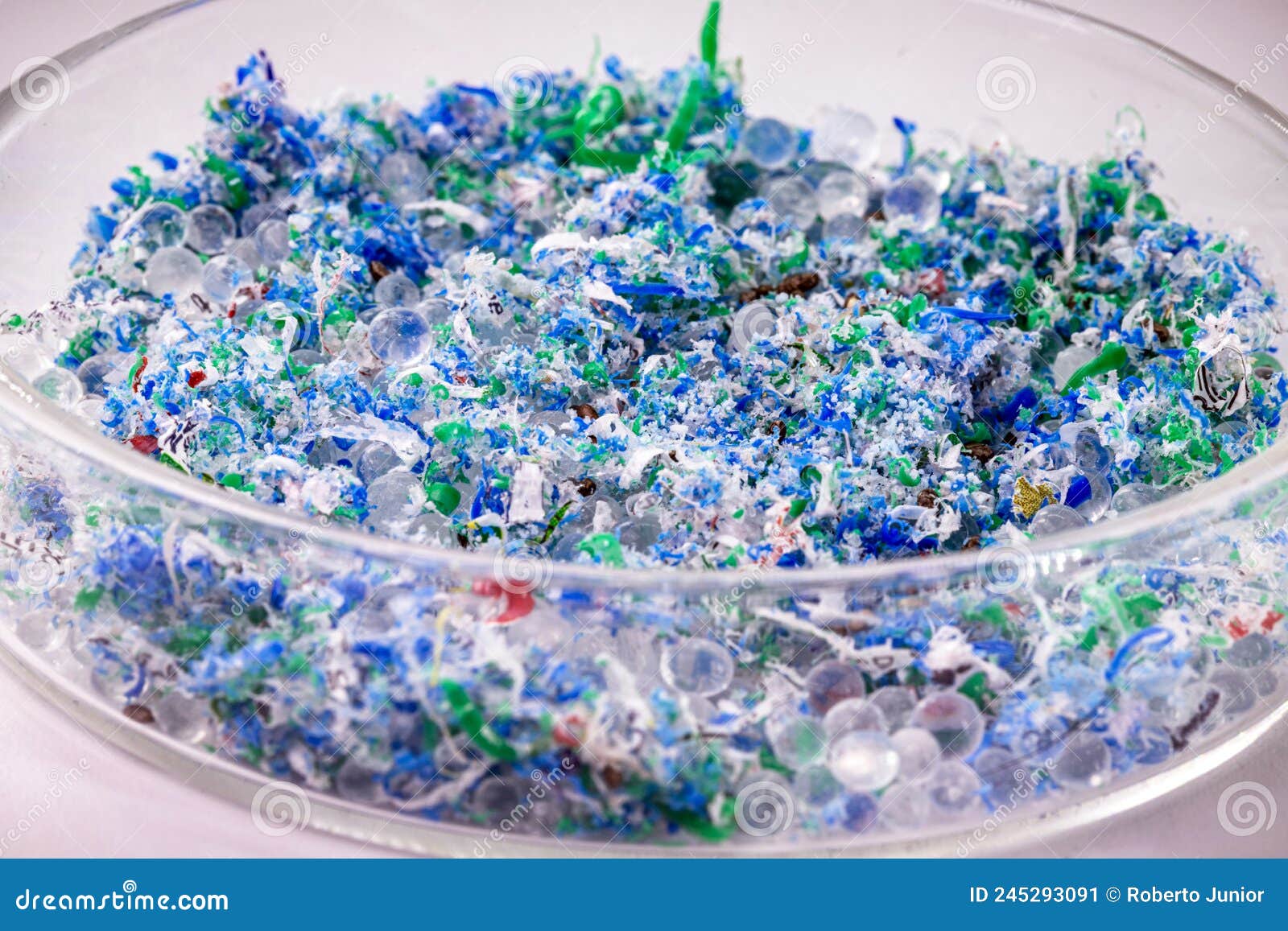 Traces Of Plastic And Microplastic In Petri Dishes, The Main Pollutant ...