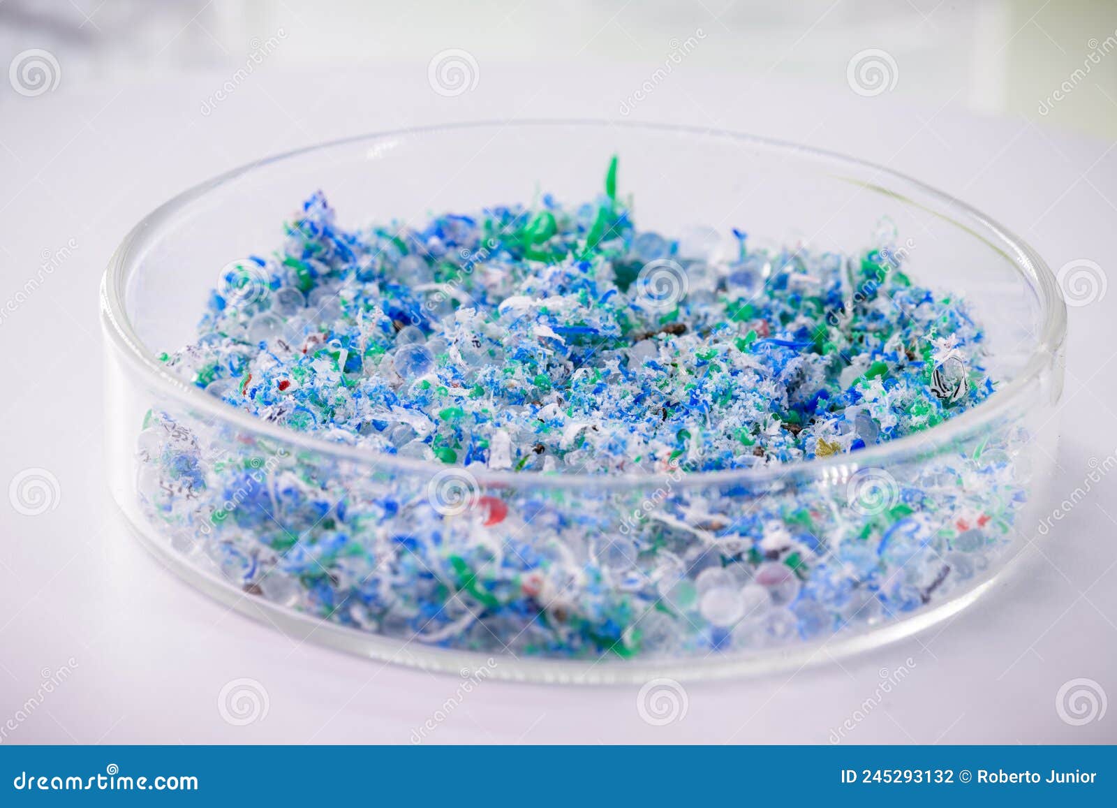 Traces Of Plastic And Microplastic In Petri Dishes, The Main Pollutant ...
