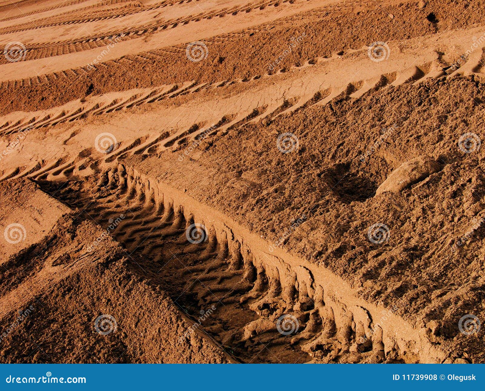 Traces sand stock photo. Image of open, print, ground - 11739908