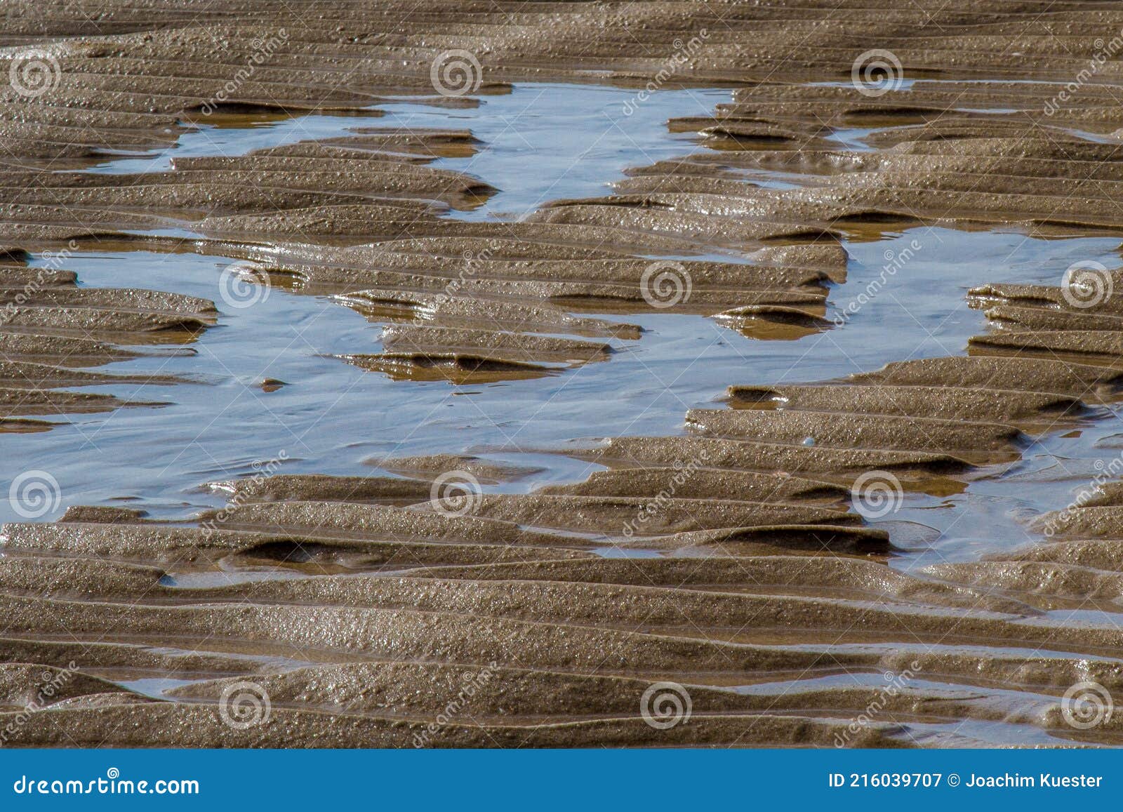 Traces in the Sand on a Beach Formed by Waves Stock Image - Image of ...