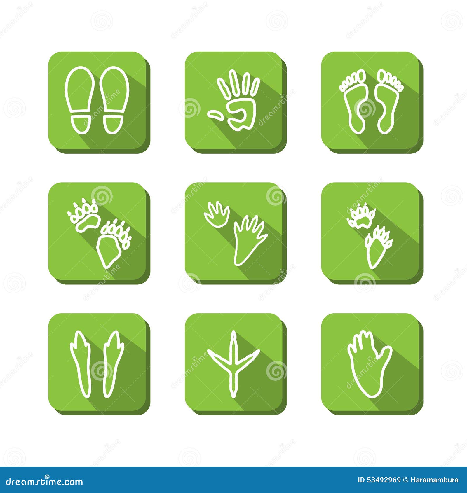 Traces stock vector. Illustration of bird, badges, logo - 53492969