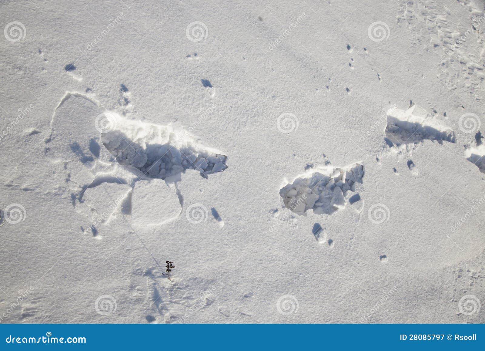 Traces in snow stock image. Image of season, light, field - 28085797
