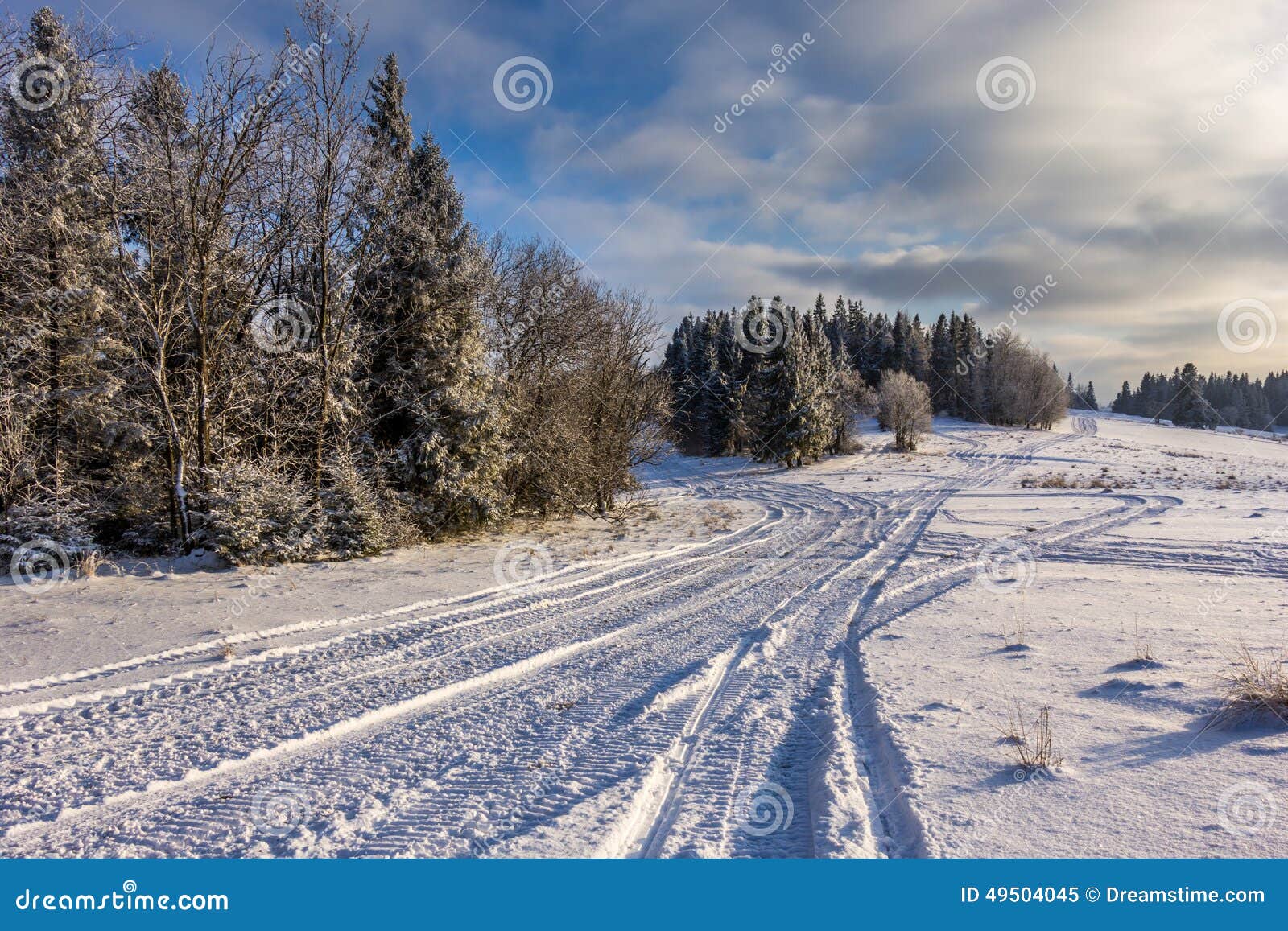 Traces on snow stock image. Image of naturte, poland - 49504045