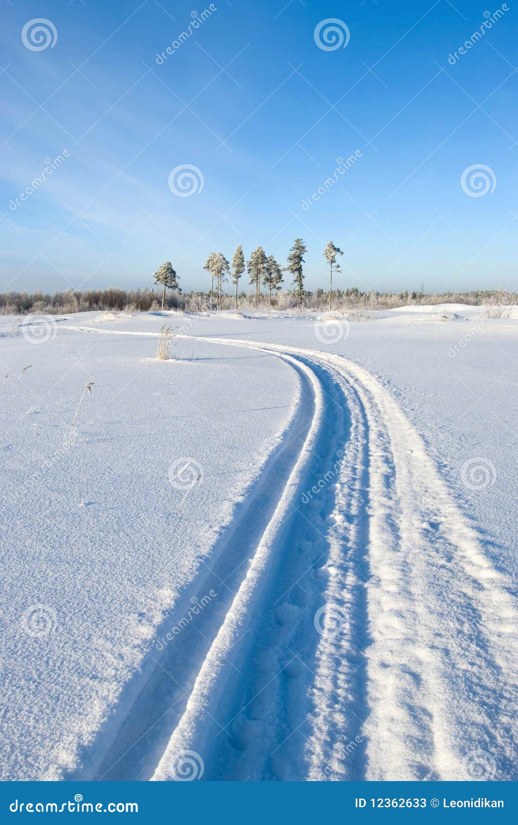 Traces snowmobile stock image. Image of snowy, chilly - 12362633