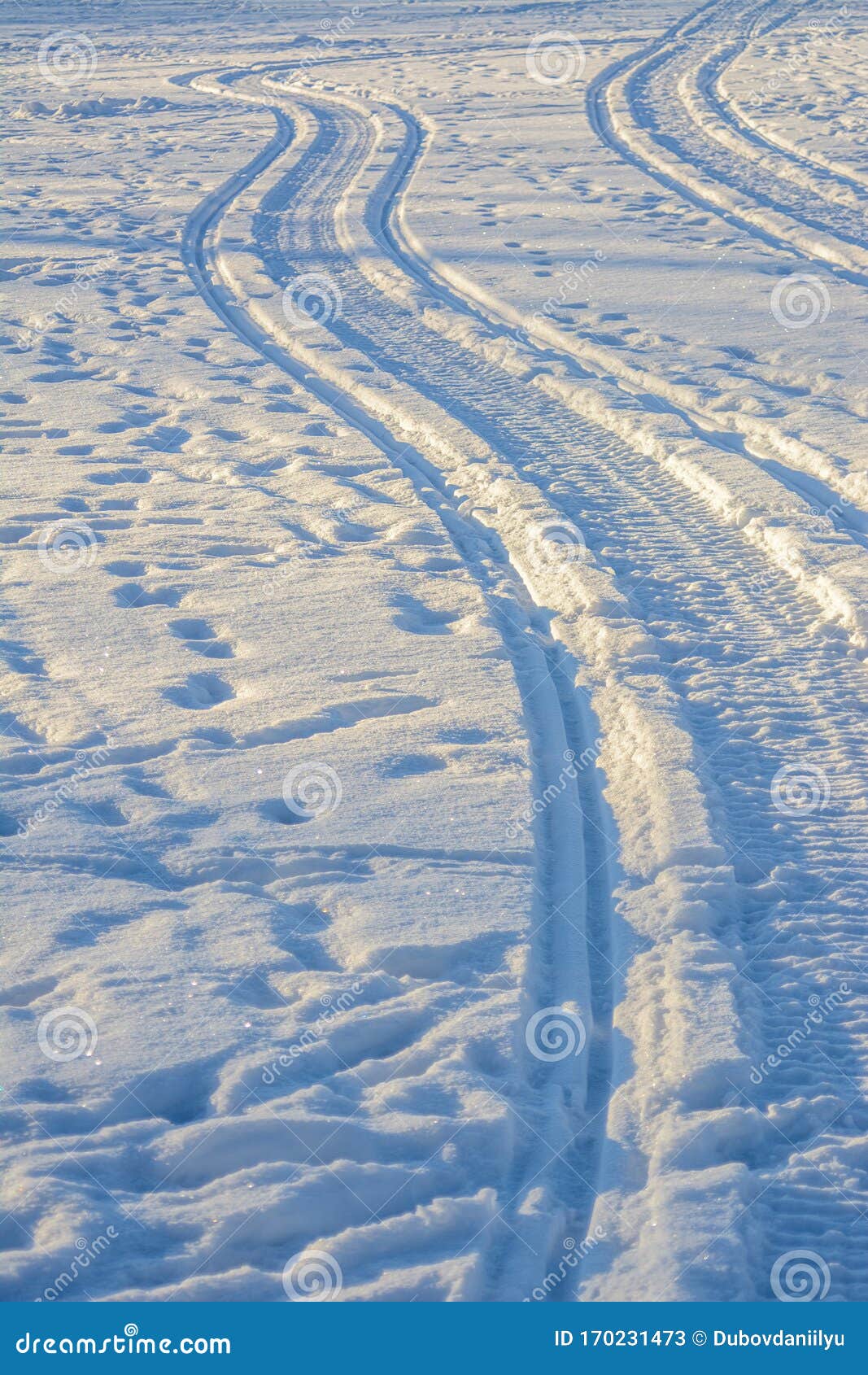 Traces of a Snowmobile and Human Footprints in the Snow, Trails Stock ...
