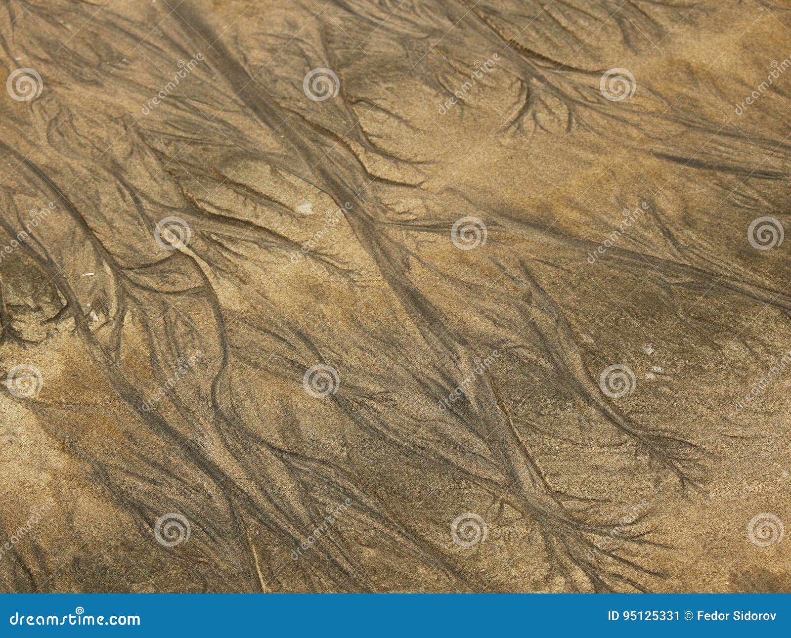 Traces of water flows stock image. Image of dried, ground - 95125331