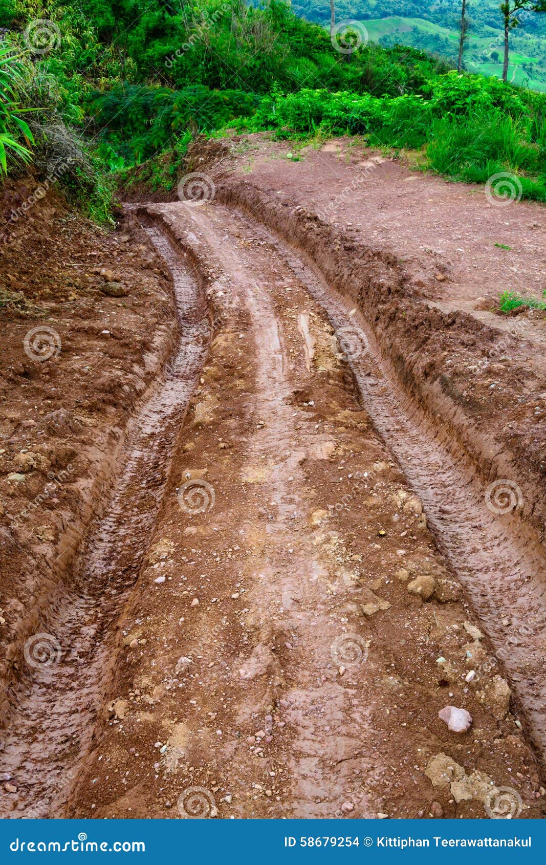 Traces Wheel of Vehicle in Paddy Soil Stock Photo - Image of dirt ...