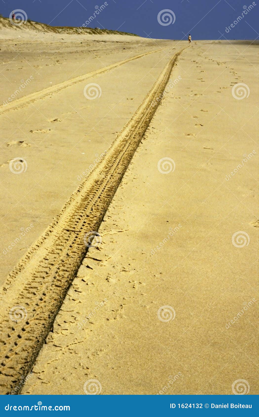 Track stock photo. Image of trail, ocean, track, markings - 1624132