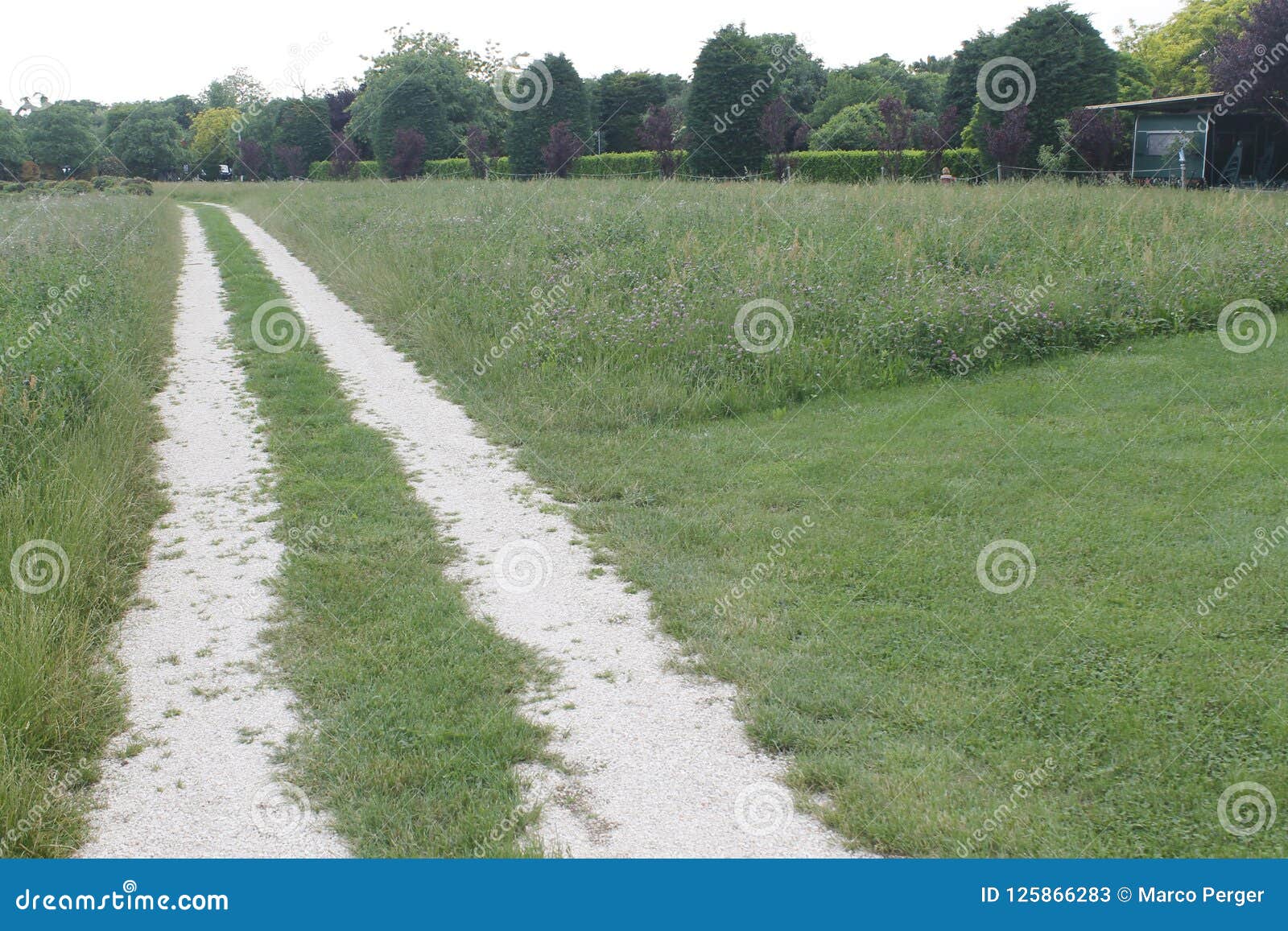 Track stock image. Image of landscape, field, flora - 125866283