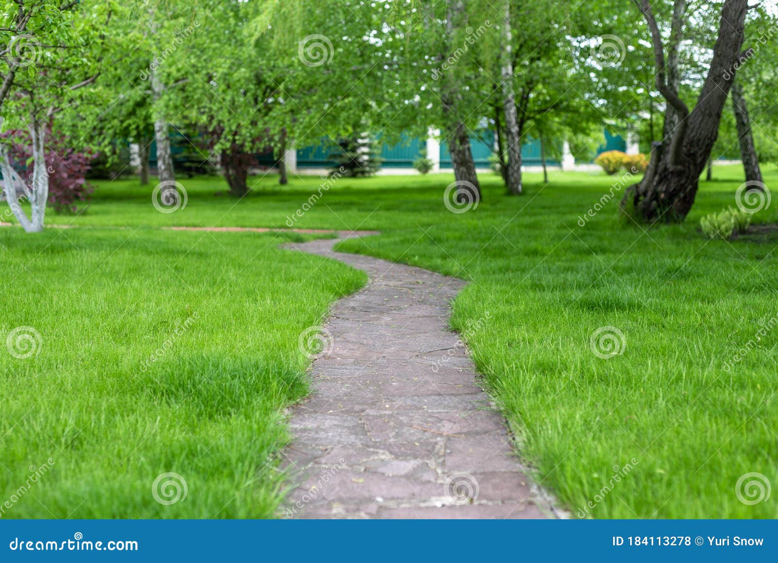 Track in the backyard stock photo. Image of leaves, decoration - 184113278