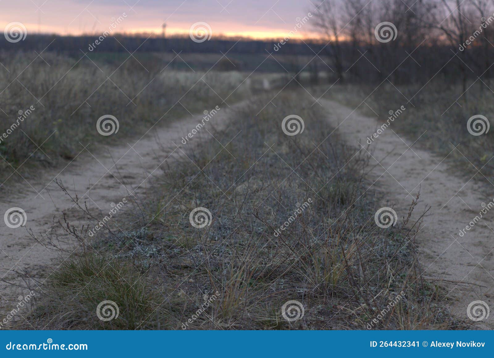 Track stock image. Image of prairie, wetland, plant - 264432341