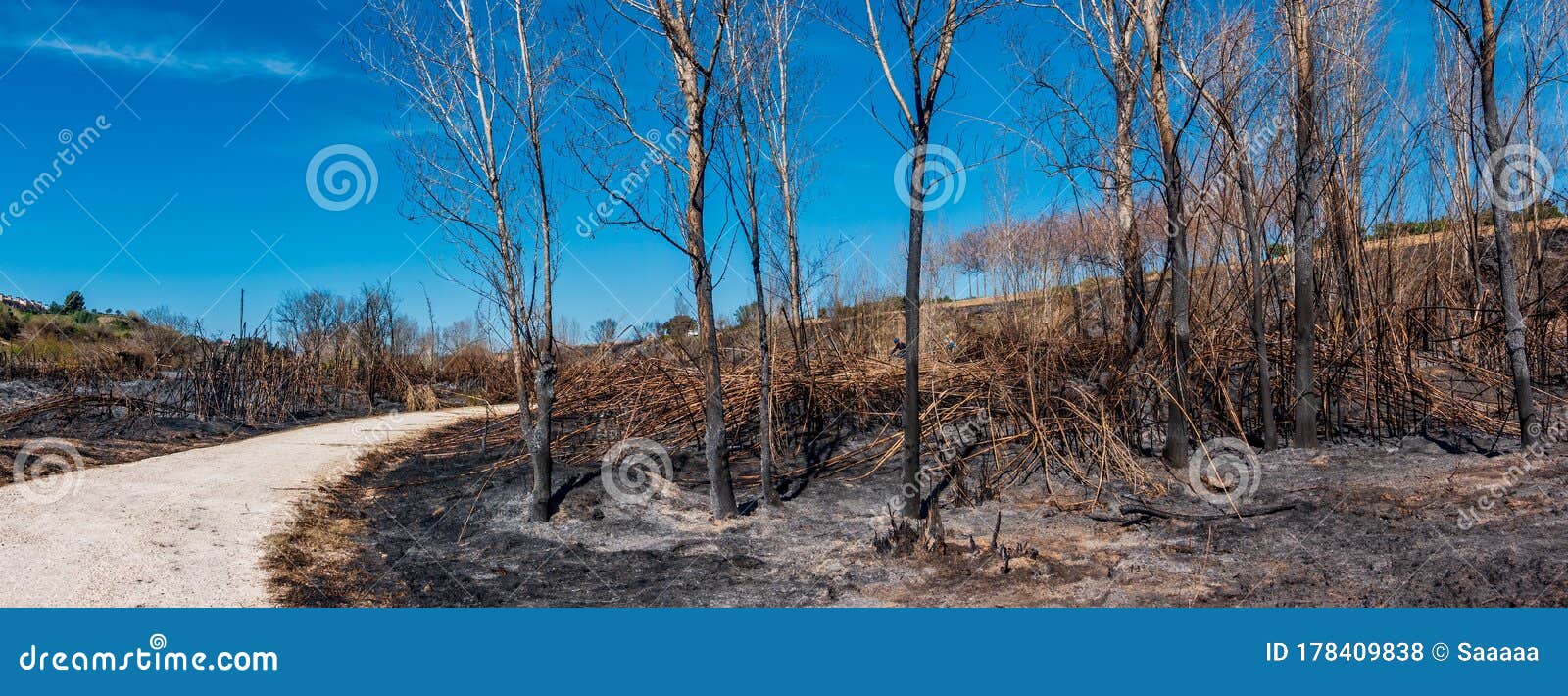Track and Completely Burnt Area after Fire Stock Photo - Image of track ...