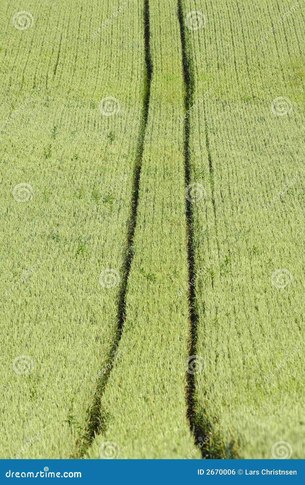 Track And Corn Picture. Image: 2670006