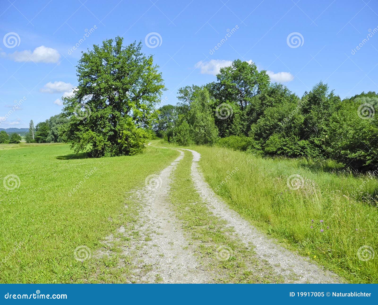 Track through countryside stock image. Image of scenic - 19917005