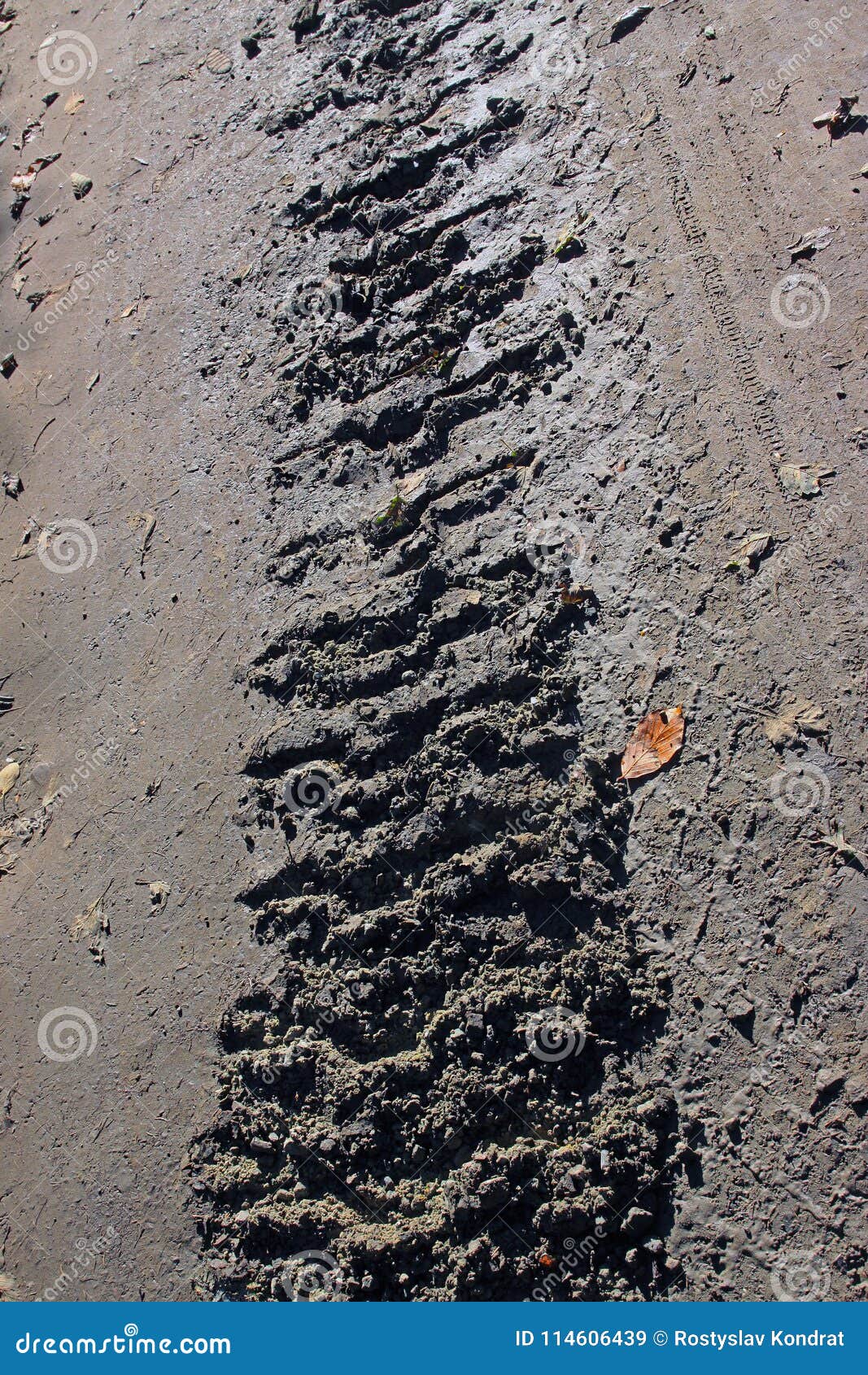 Track of a crawler tractor stock image. Image of people - 114606439