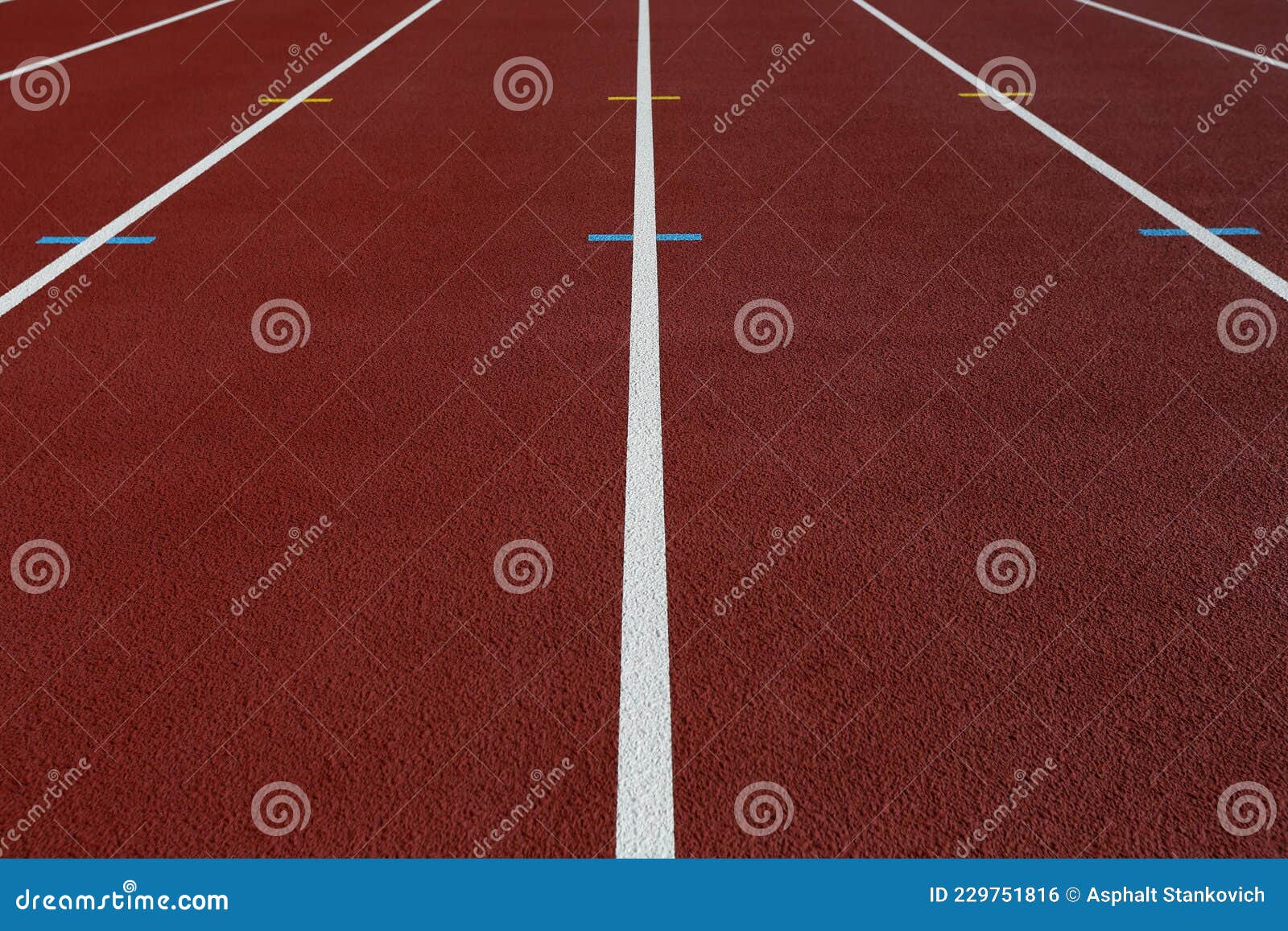 Track and Field Track Lines Stock Photo - Image of blue, sport: 229751816