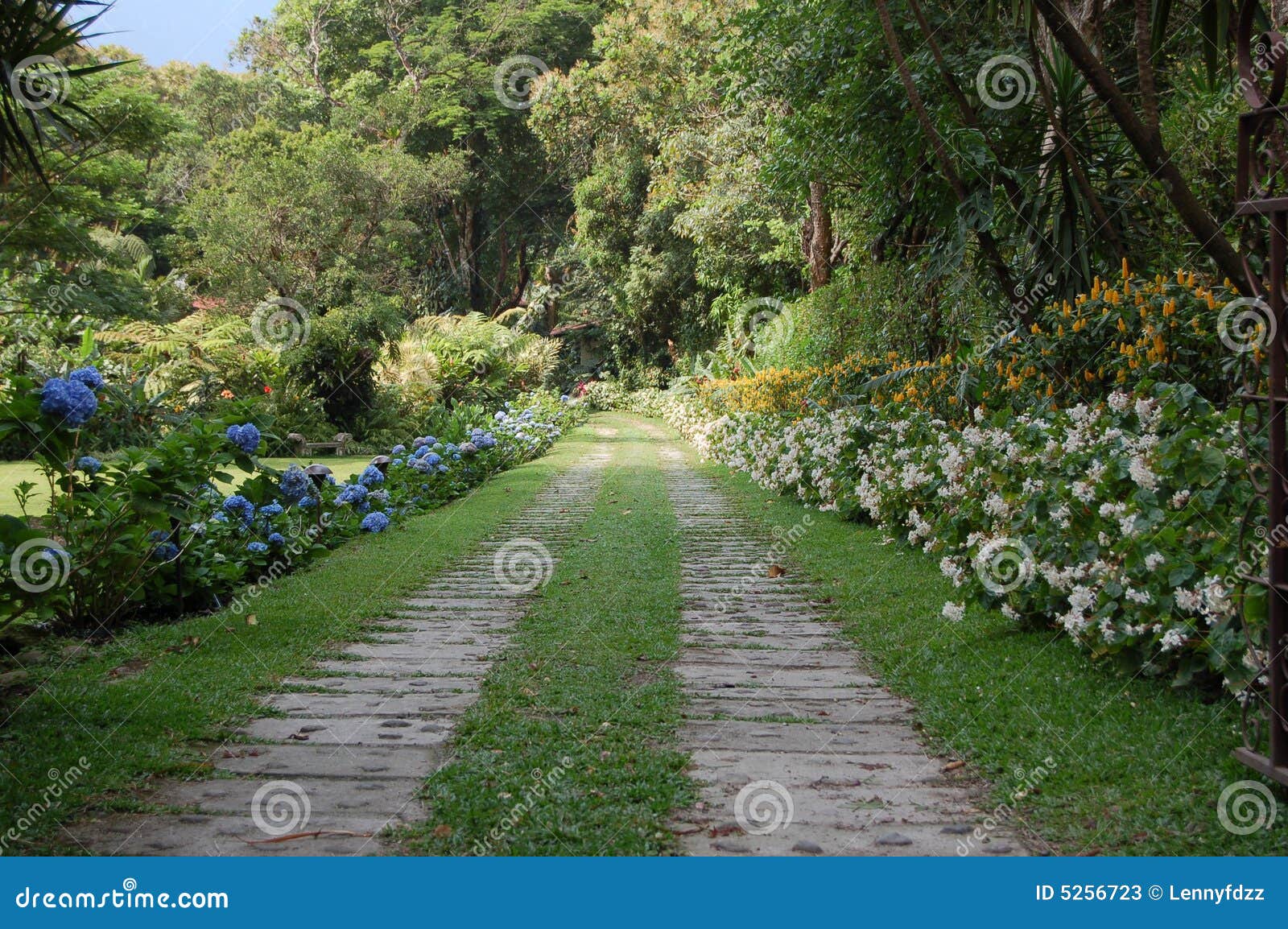 Track through flower park stock image. Image of route - 5256723