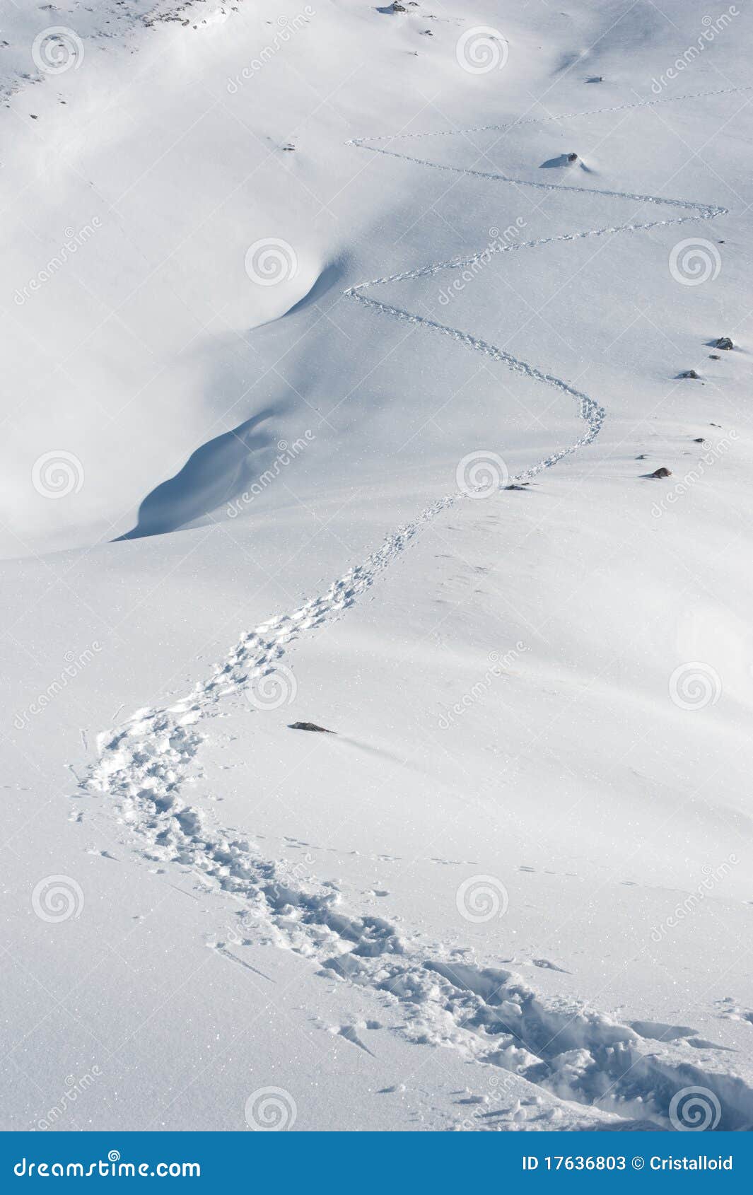 Track of Footprints in White Snow Stock Image - Image of cold ...