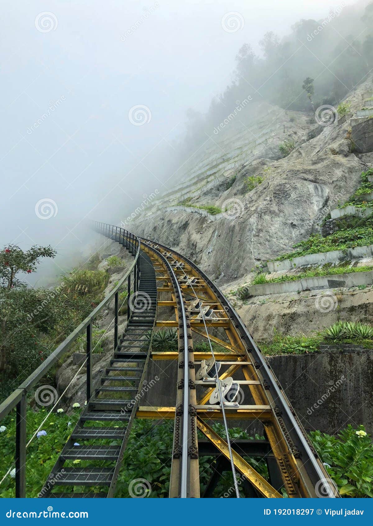 Track in green nature stock image. Image of green, natural - 192018297