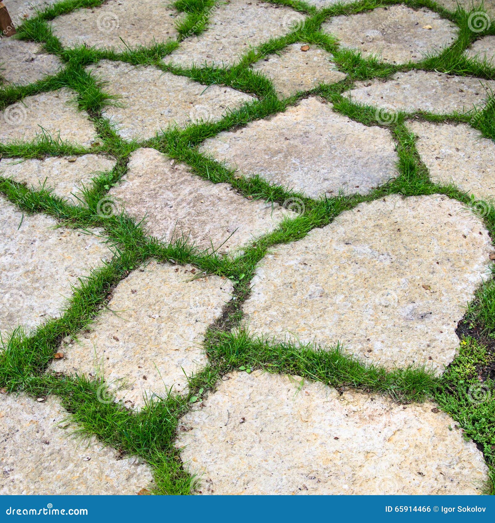 Track Limestone Slabs Garden Stock Photos - Free & Royalty-Free Stock ...