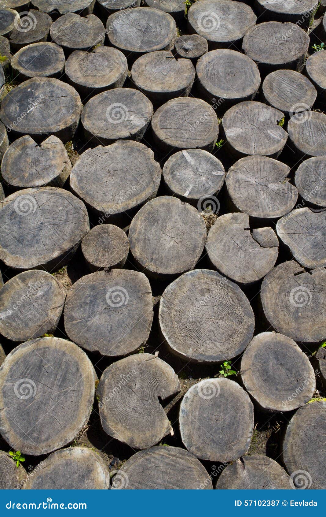 Track of logs stock image. Image of ring, decor, carpet - 57102387