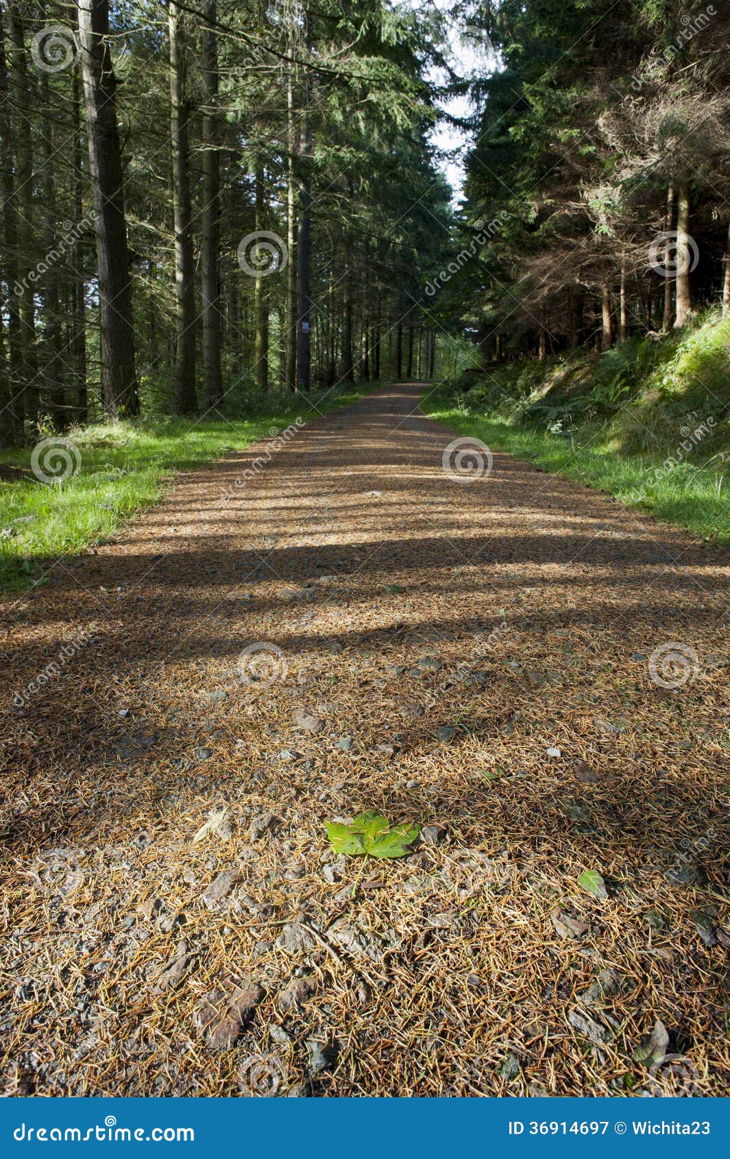 Powys Border Stock Photos - Free & Royalty-Free Stock Photos from ...