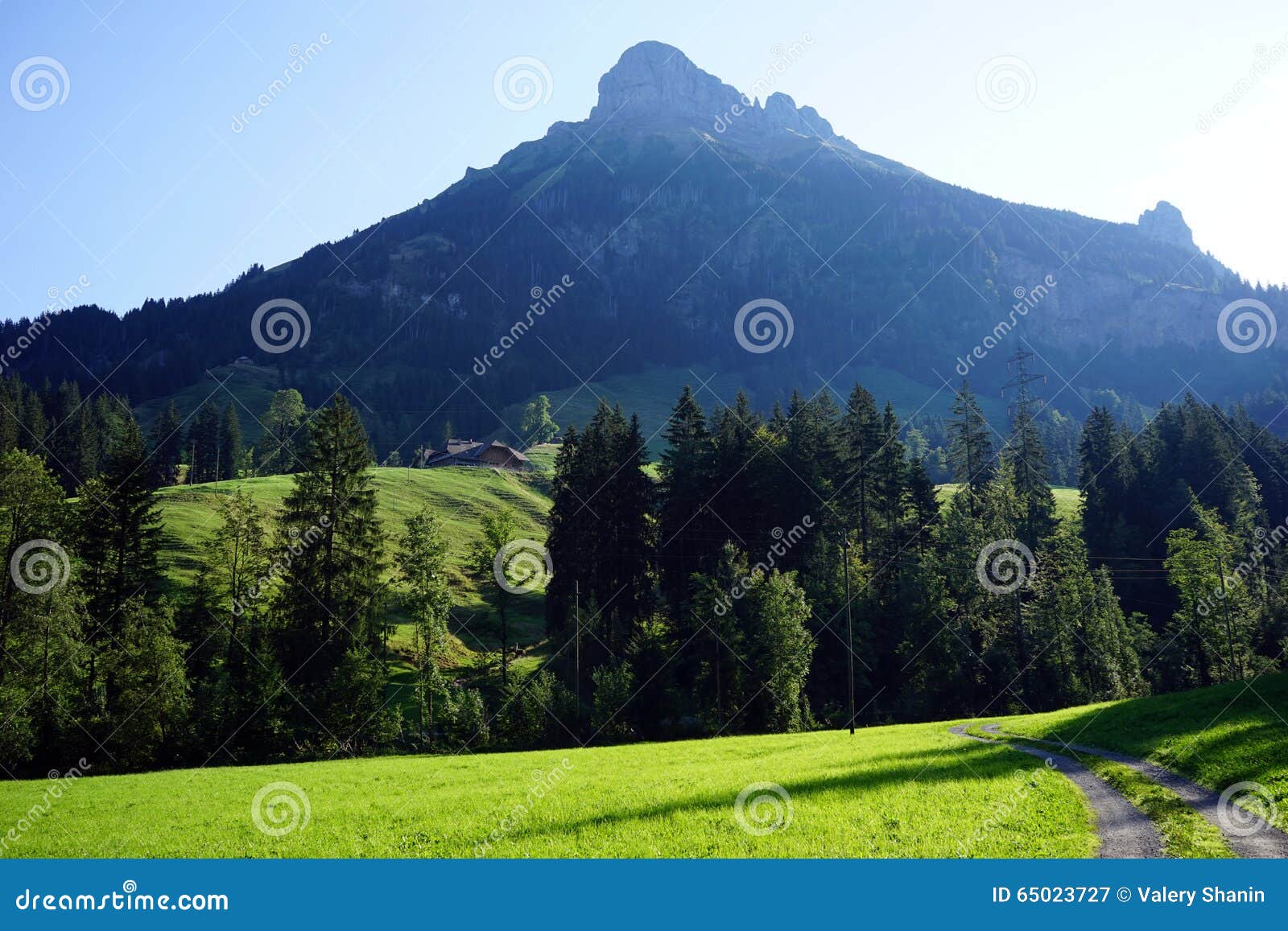 Track and pylons stock image. Image of tree, horizontal - 65023727