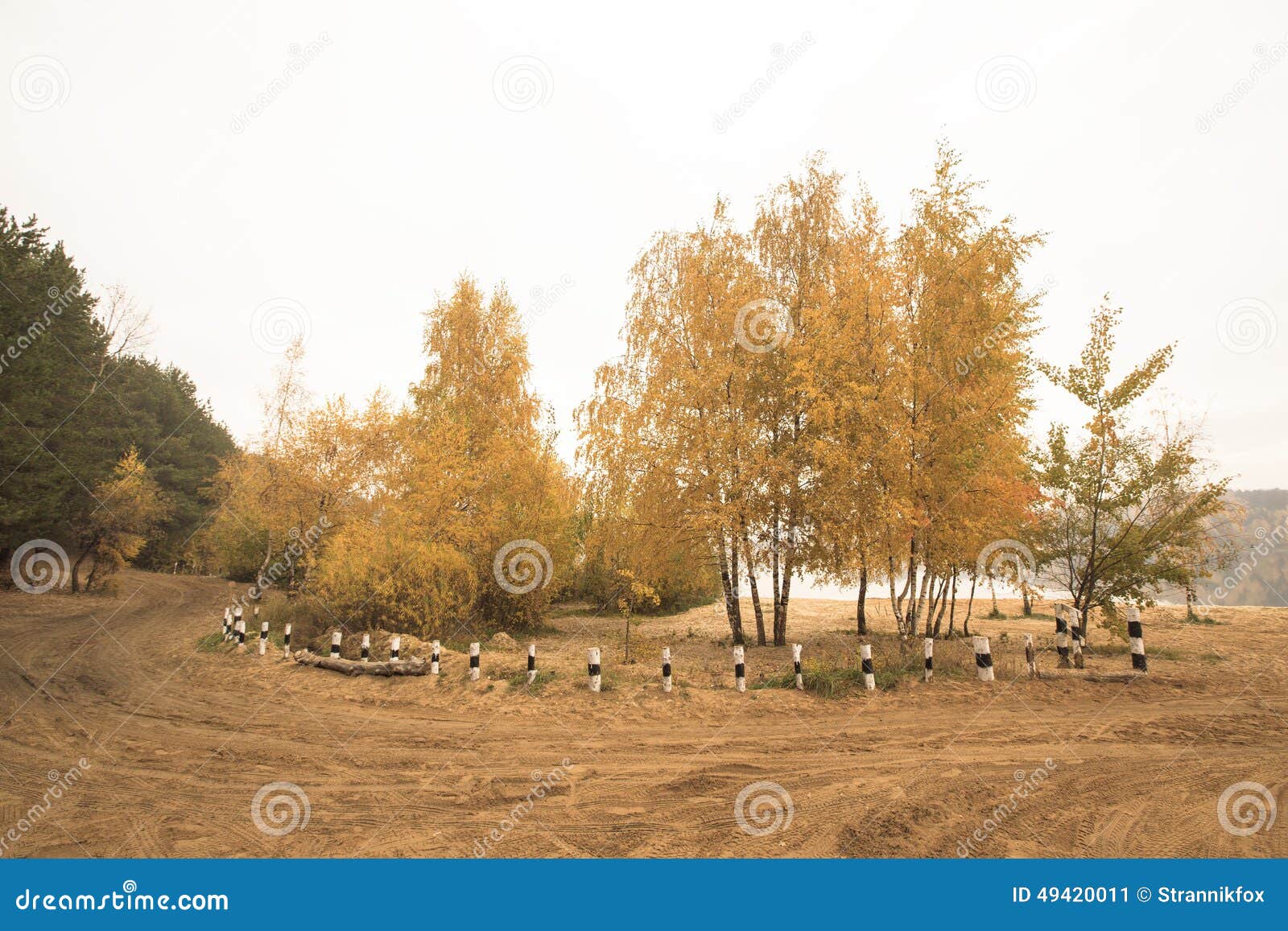 Track Racing in the Autumn Forest. Landscape Stock Image - Image of ...