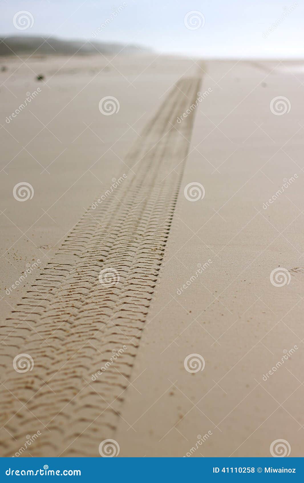 A Track in the Sand stock photo. Image of travel, qeensland - 41110258