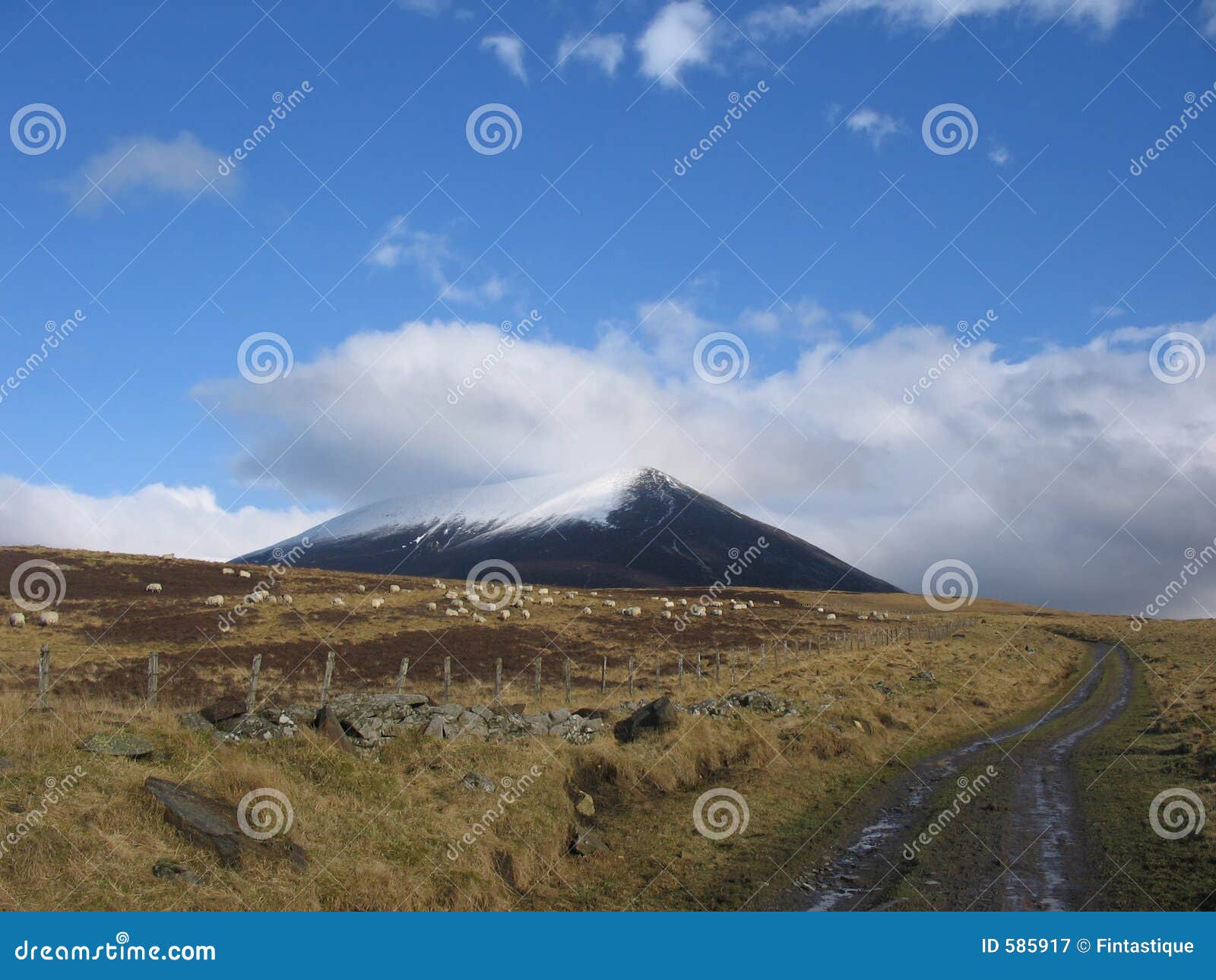 Track in the Scottish Highlands Stock Image - Image of scottish, winter ...
