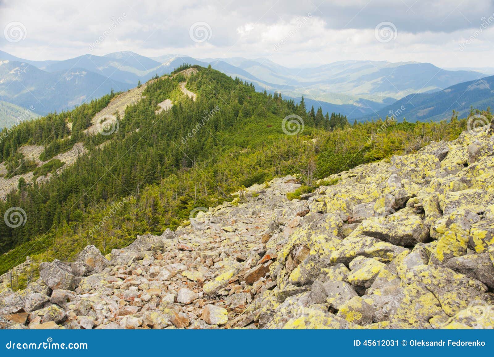 Track on a slope stock image. Image of tops, wood, summer - 45612031