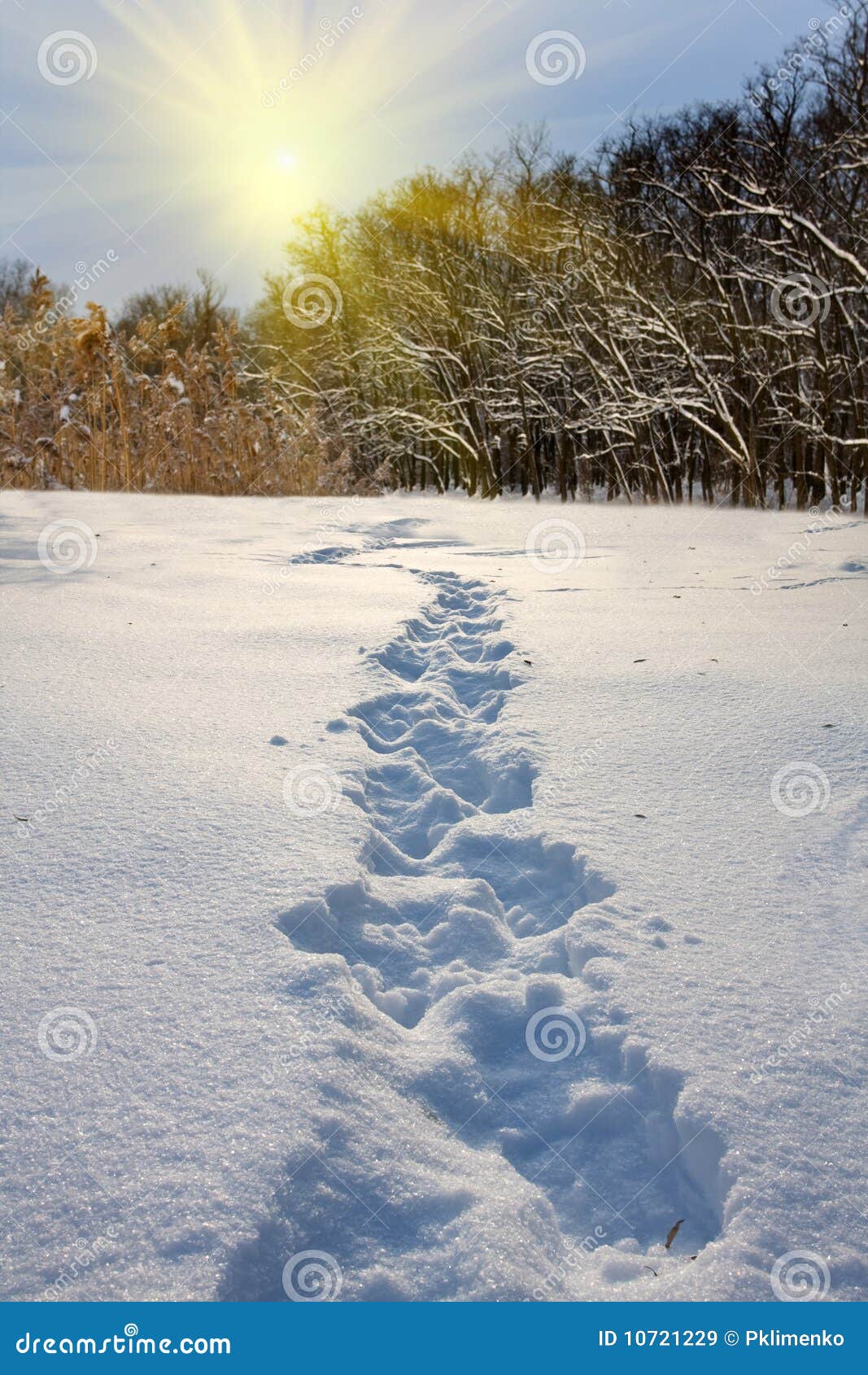 Track on snow stock image. Image of rural, sunshine, travel - 10721229