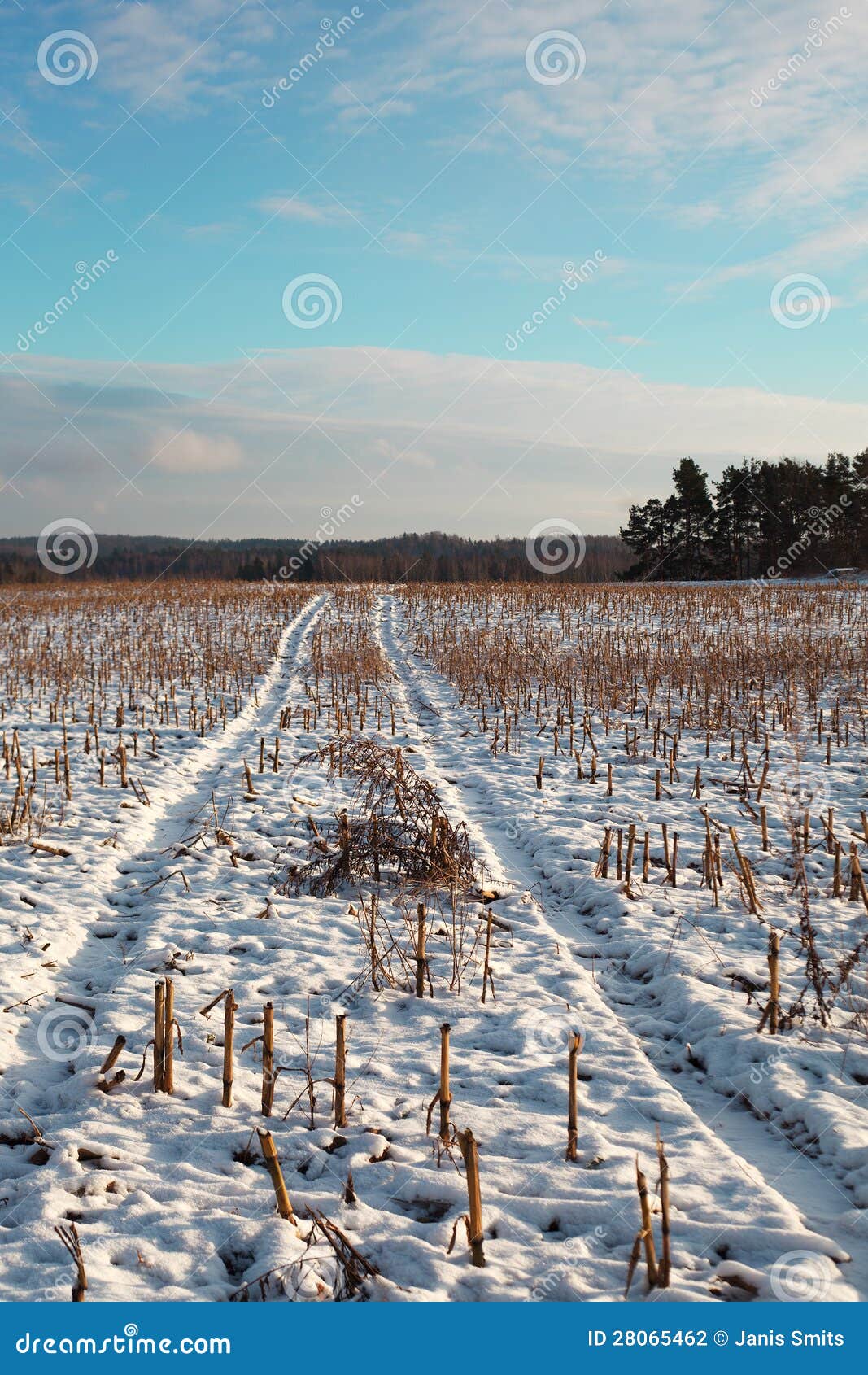 Track in snow. stock photo. Image of white, frosty, cold - 28065462