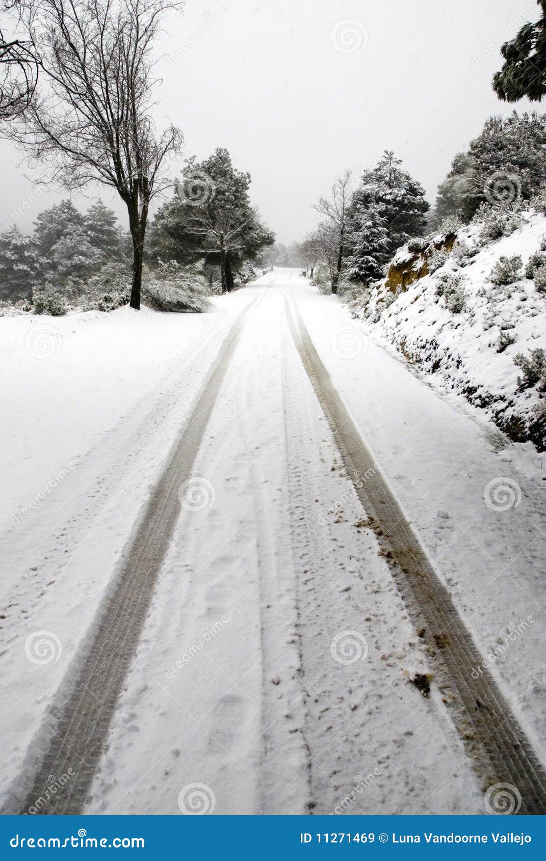 Track on snowy landscape stock image. Image of track - 11271469