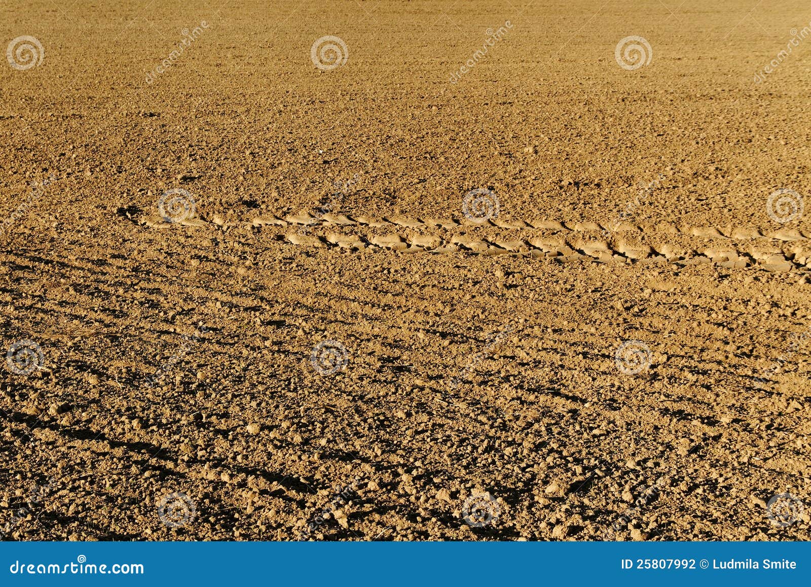 Track on soil. stock photo. Image of vehicle, dirt, trace - 25807992